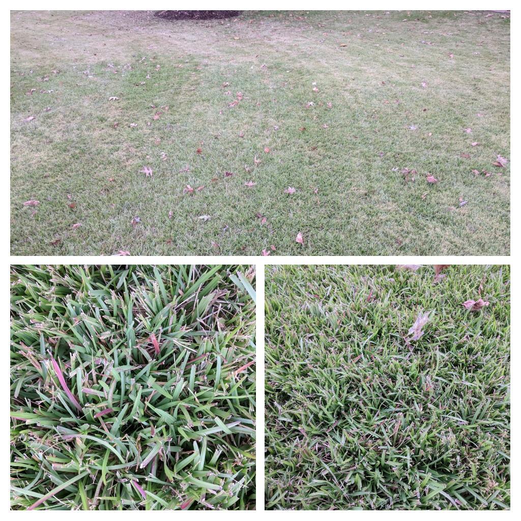 Help identify this invader! | Scrolller