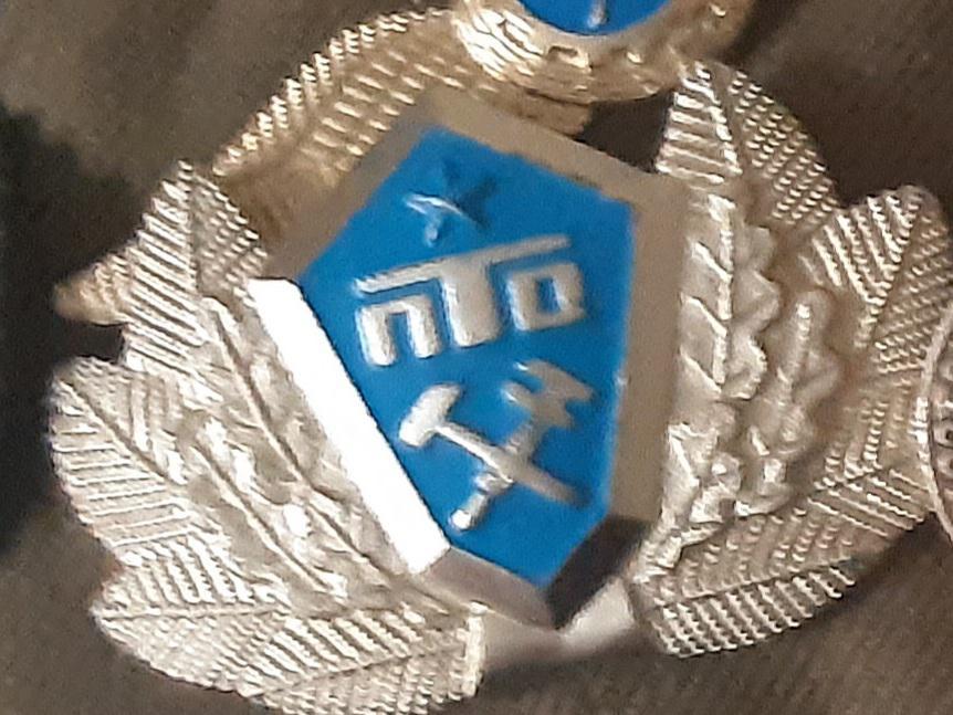 Help identifying a rather obscure pin/medal/badge. | Scrolller