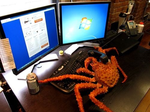 HELP IM A CRAB WITH A COMPUTER | Scrolller