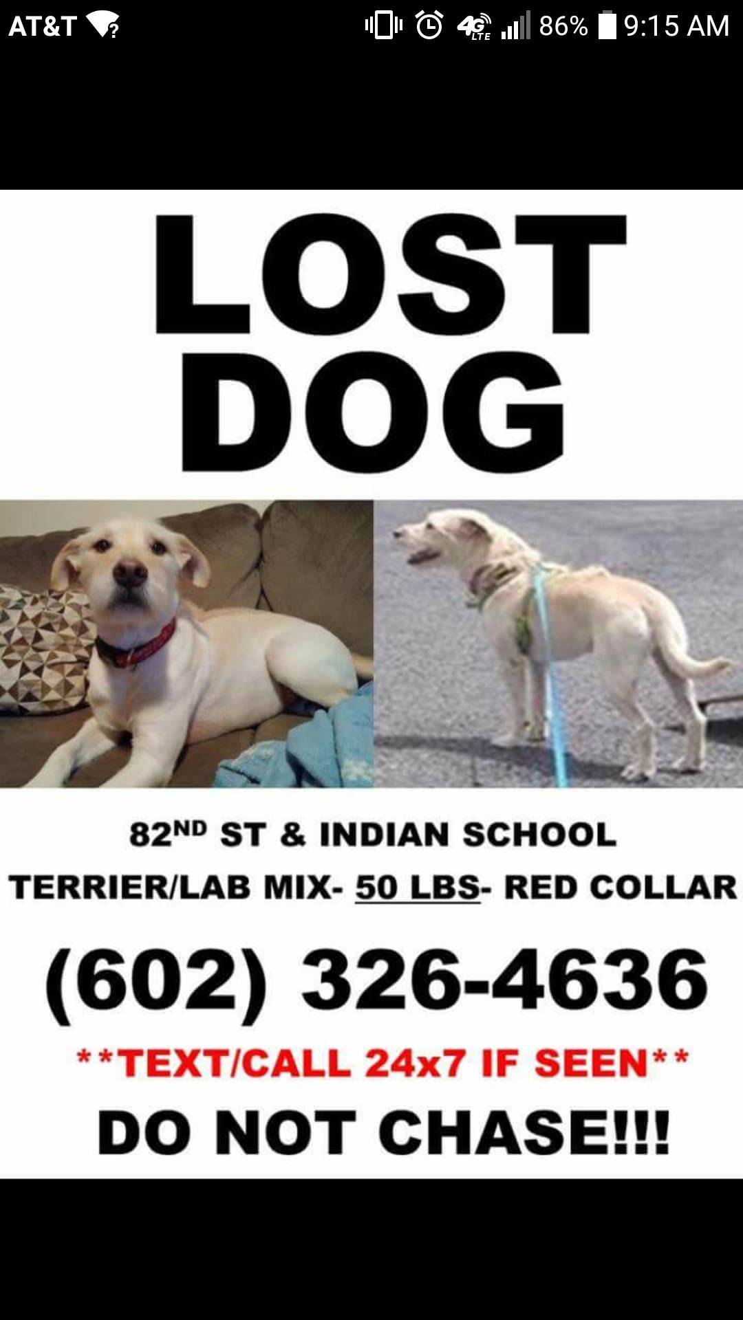 Help me find Zeus! | Scrolller