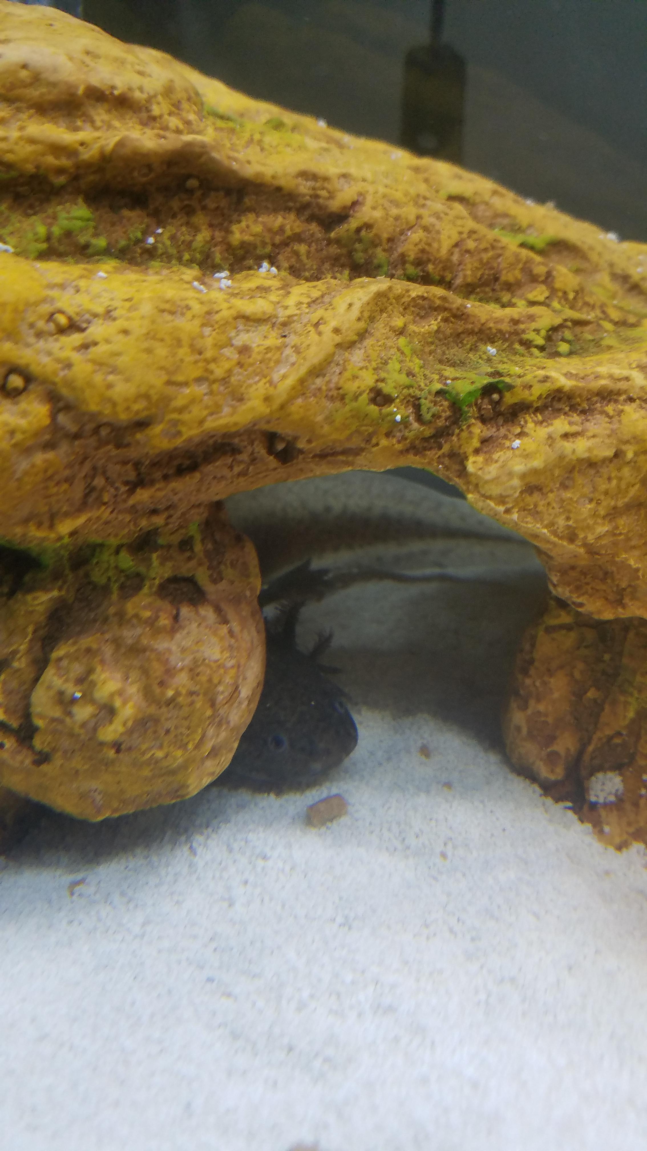 Help me with feeding! | Scrolller