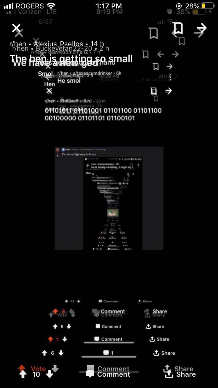 Hen boye | Scrolller