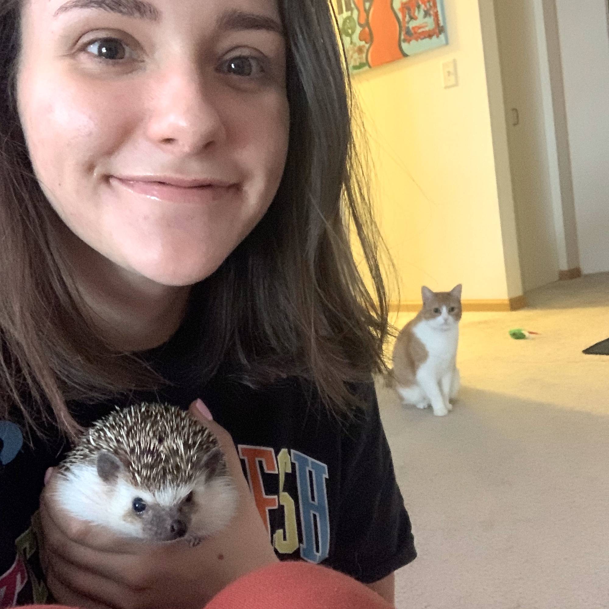 Henrietta the Hedgefund Hog and Big Broker Biscuits 💕 | Scrolller