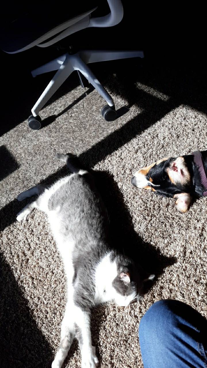 Henry And Elsa Enjoying The Sun Together Scrolller
