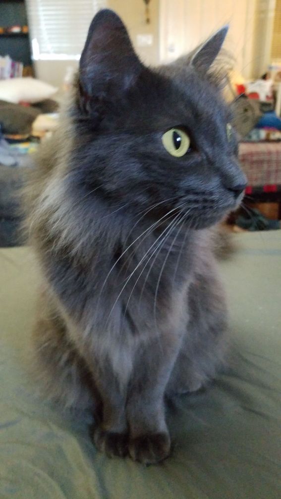 Henry is my nurse | Scrolller