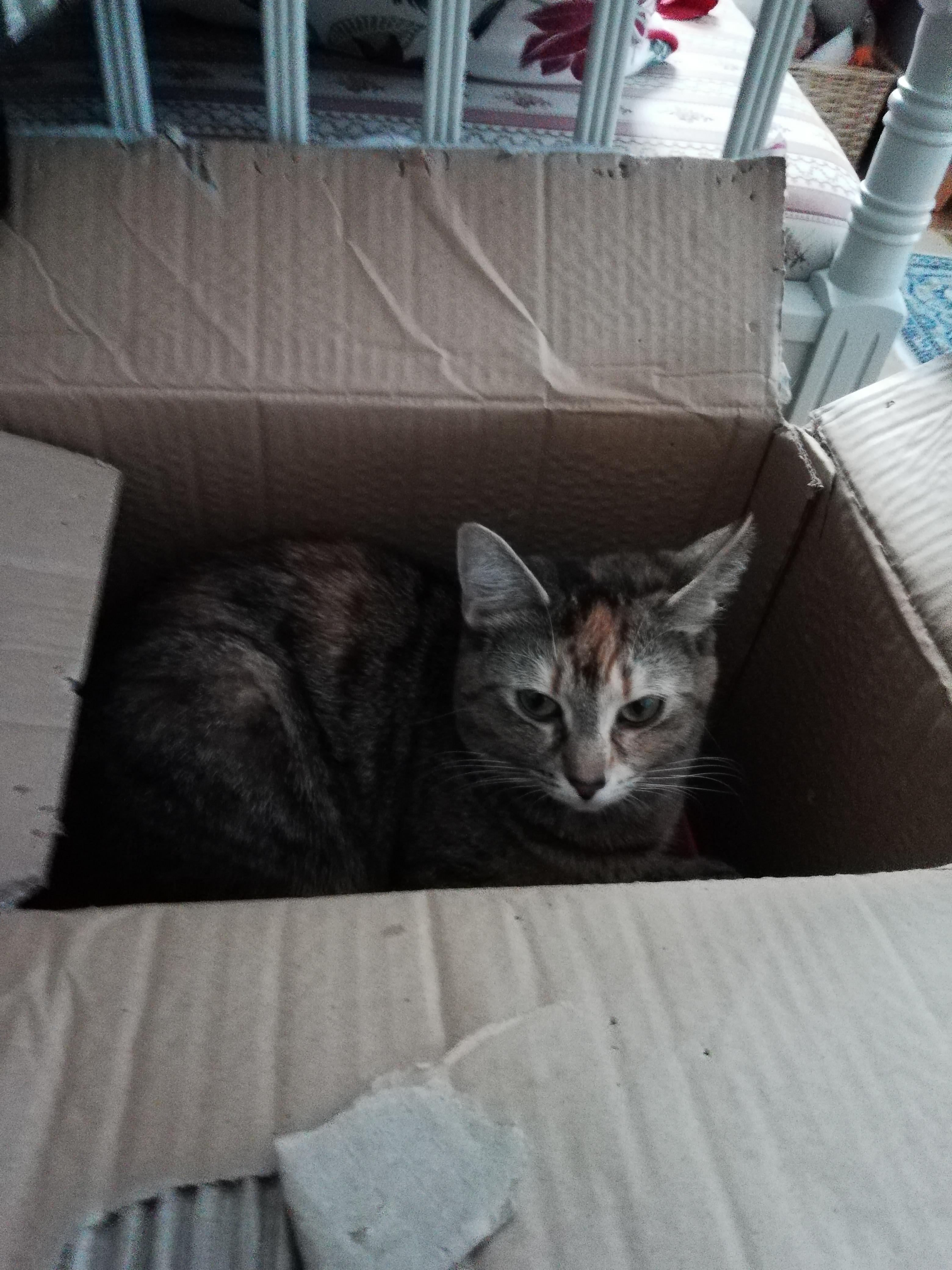 Her favourite trap | Scrolller