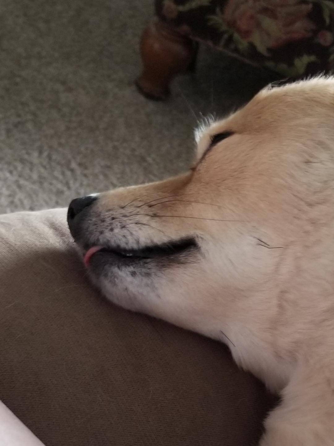 Her first derp | Scrolller