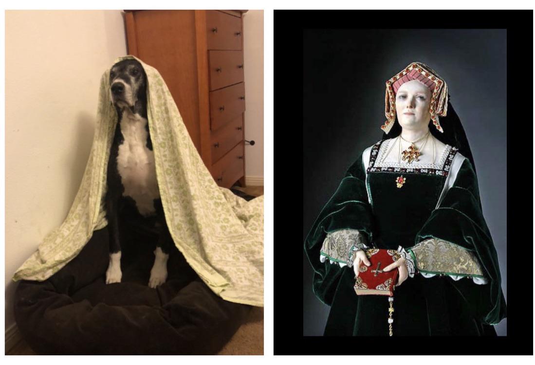 Her highness, Lady Mayhem | Scrolller