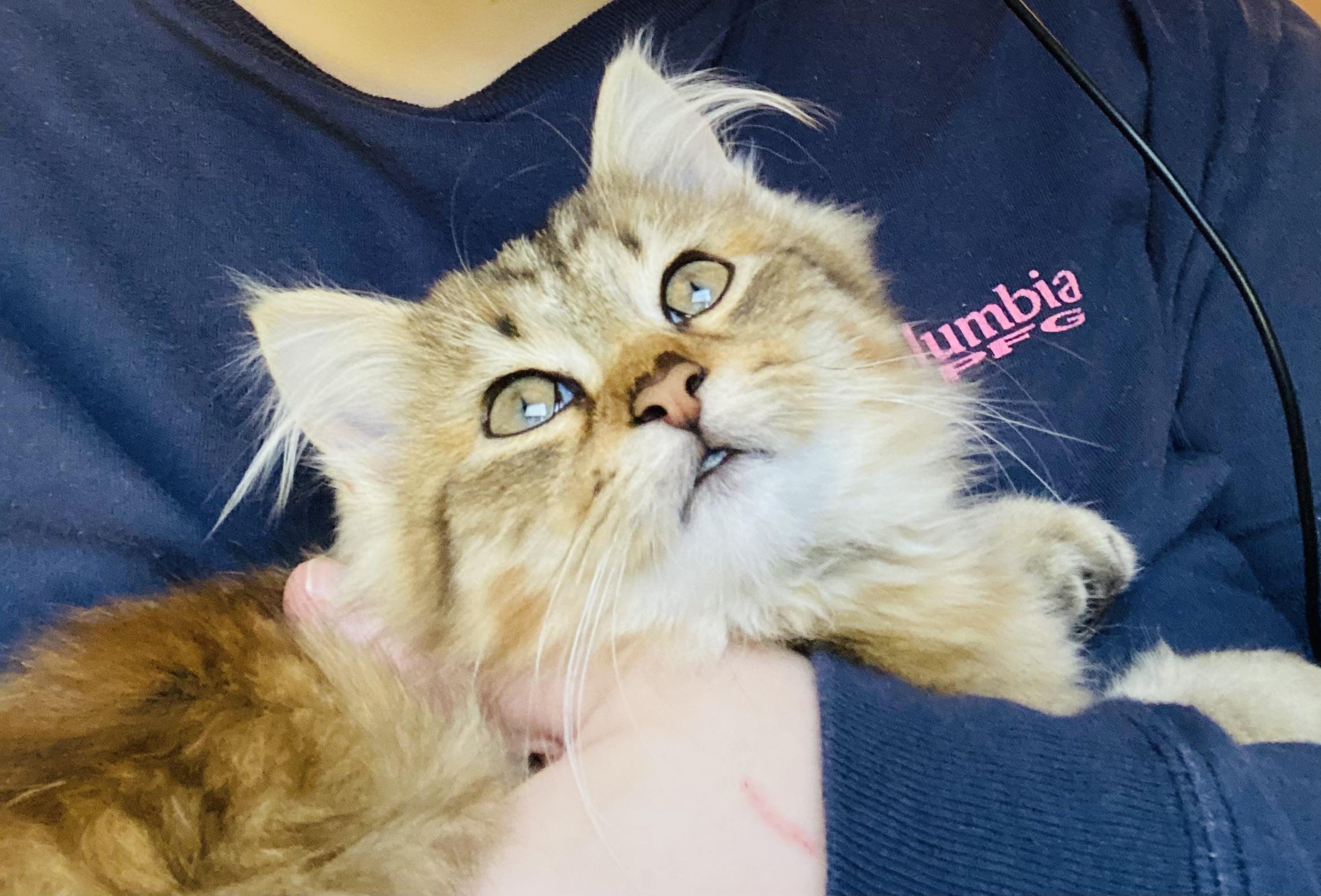 Her lip liner is perfect. | Scrolller