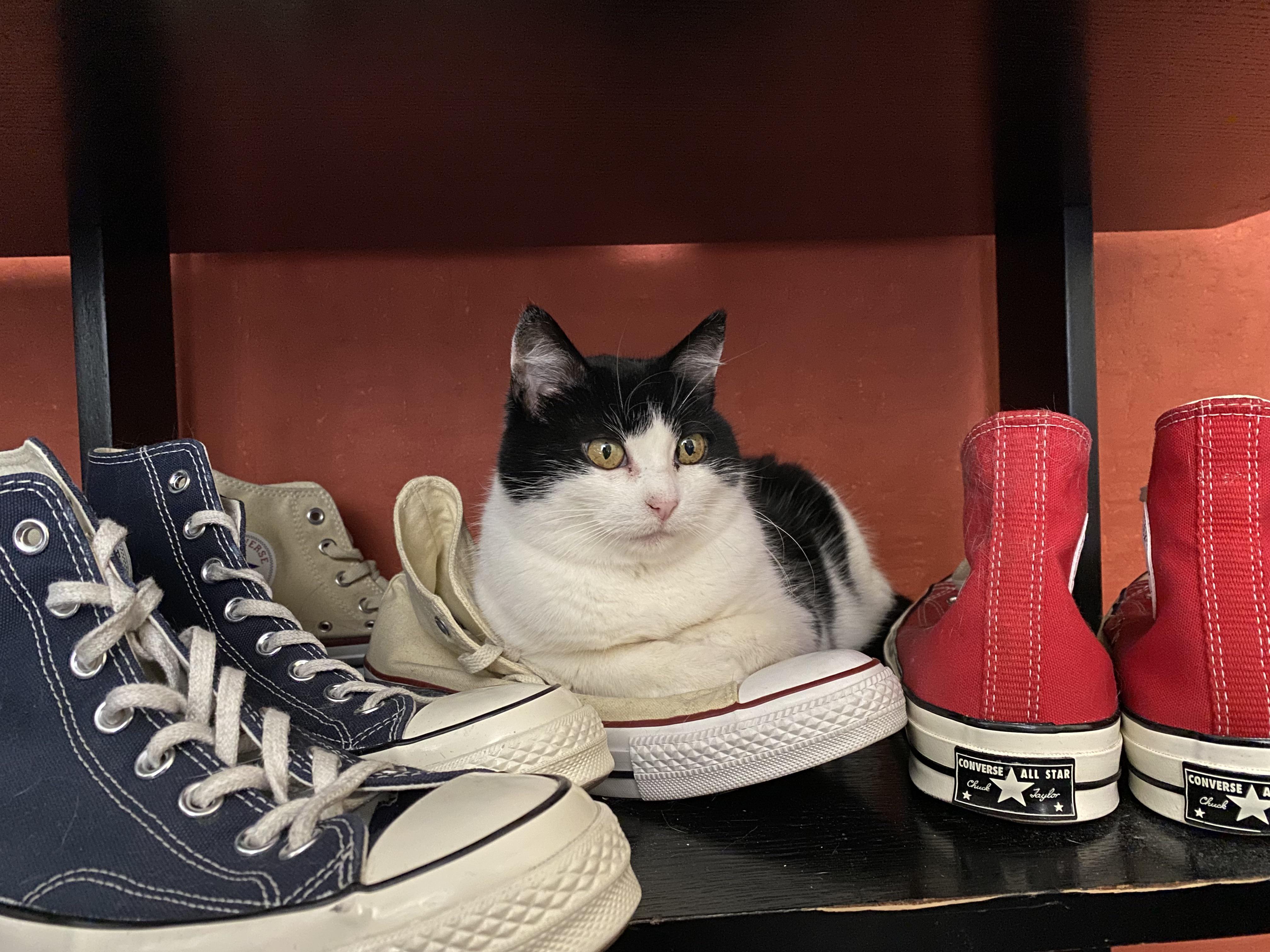 Her new favorite couch | Scrolller