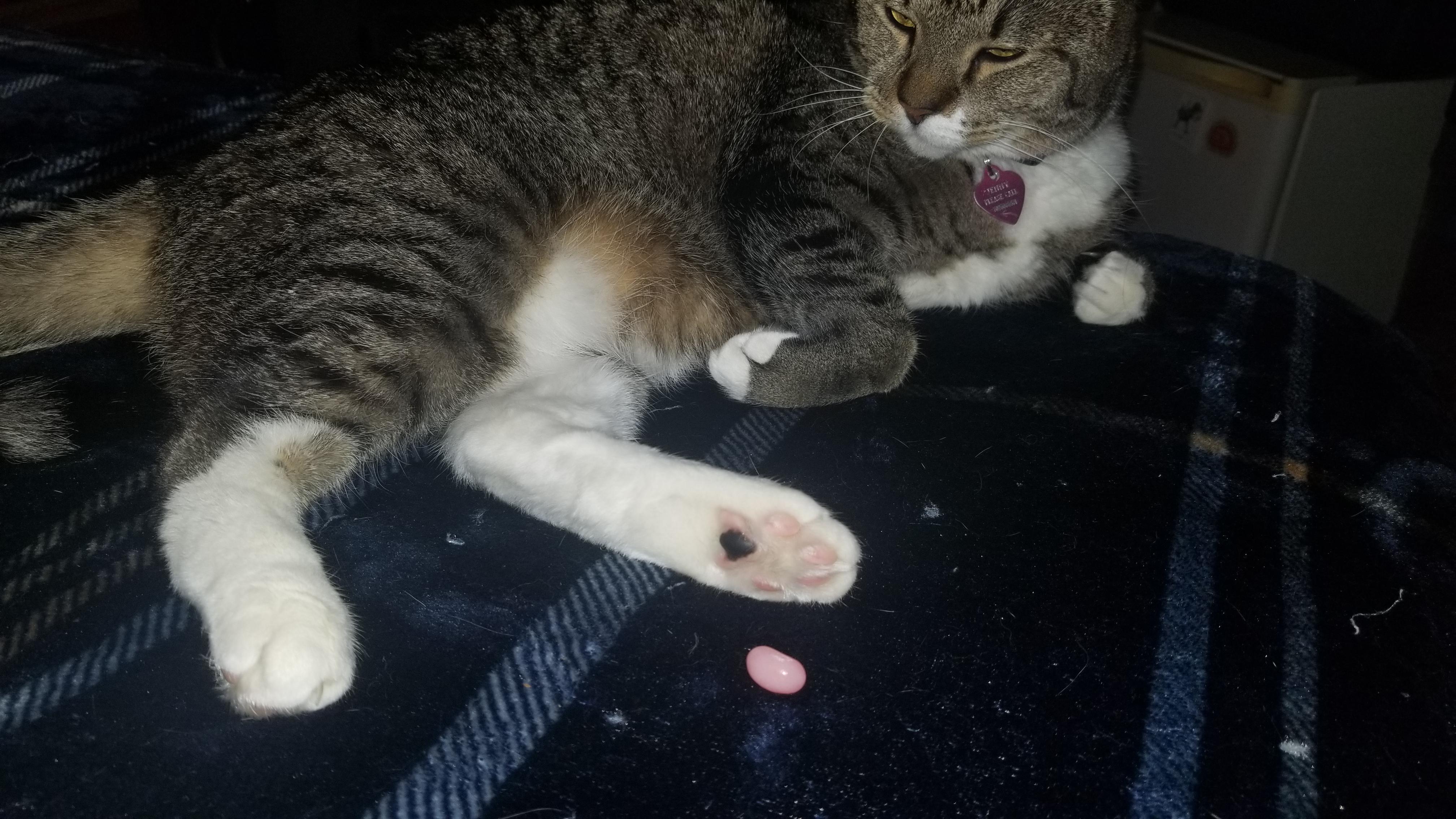 Her toes look just like pink jelly beans. | Scrolller