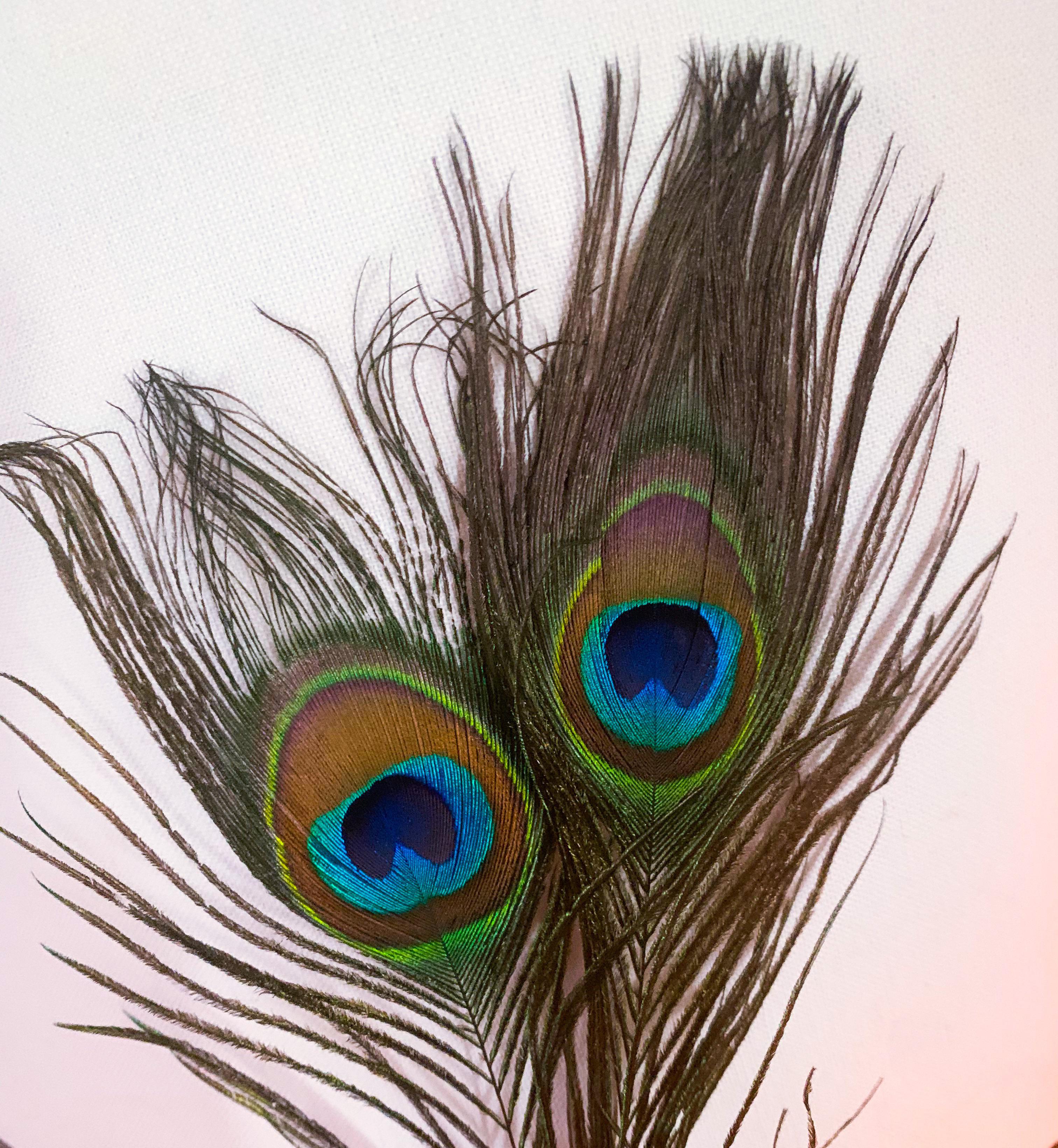 Hera, I honour you. | Scrolller