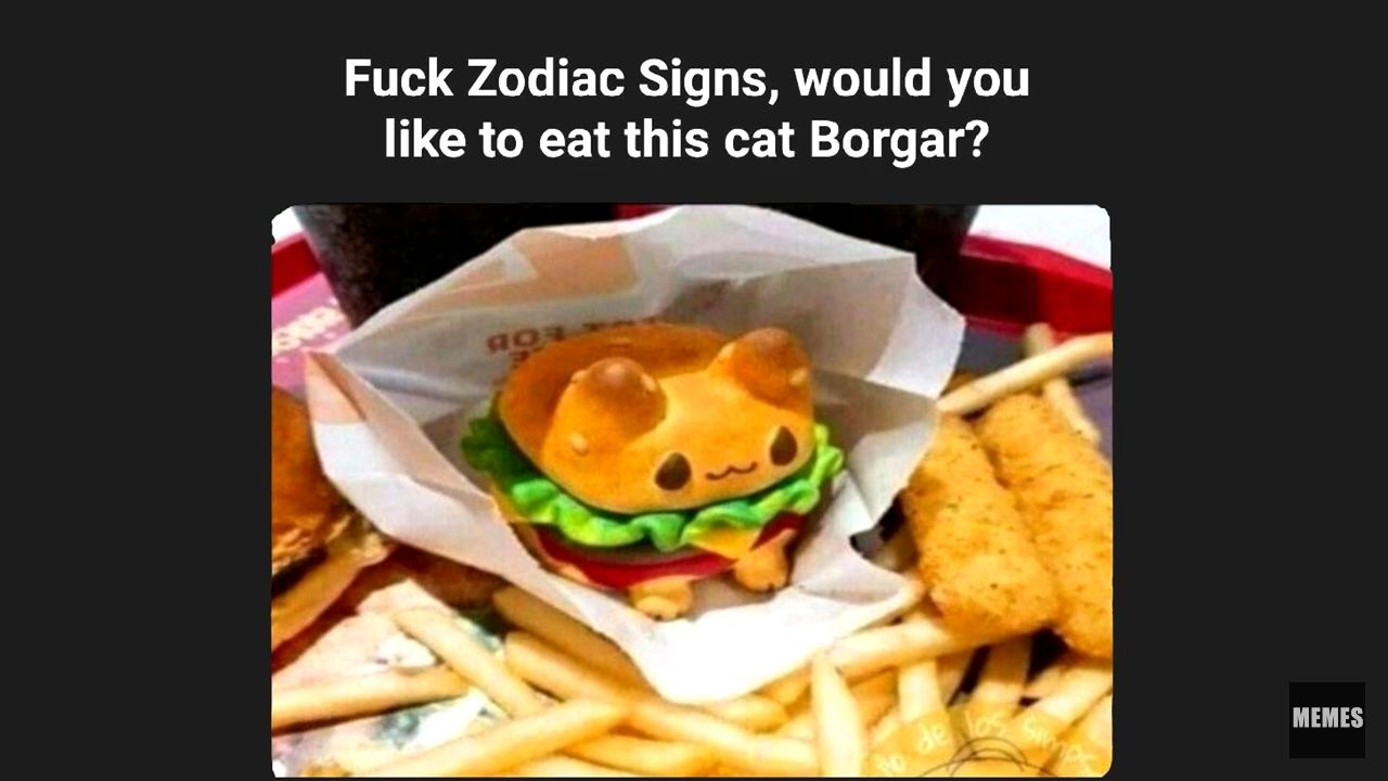 Here is a cat Borgar | Scrolller