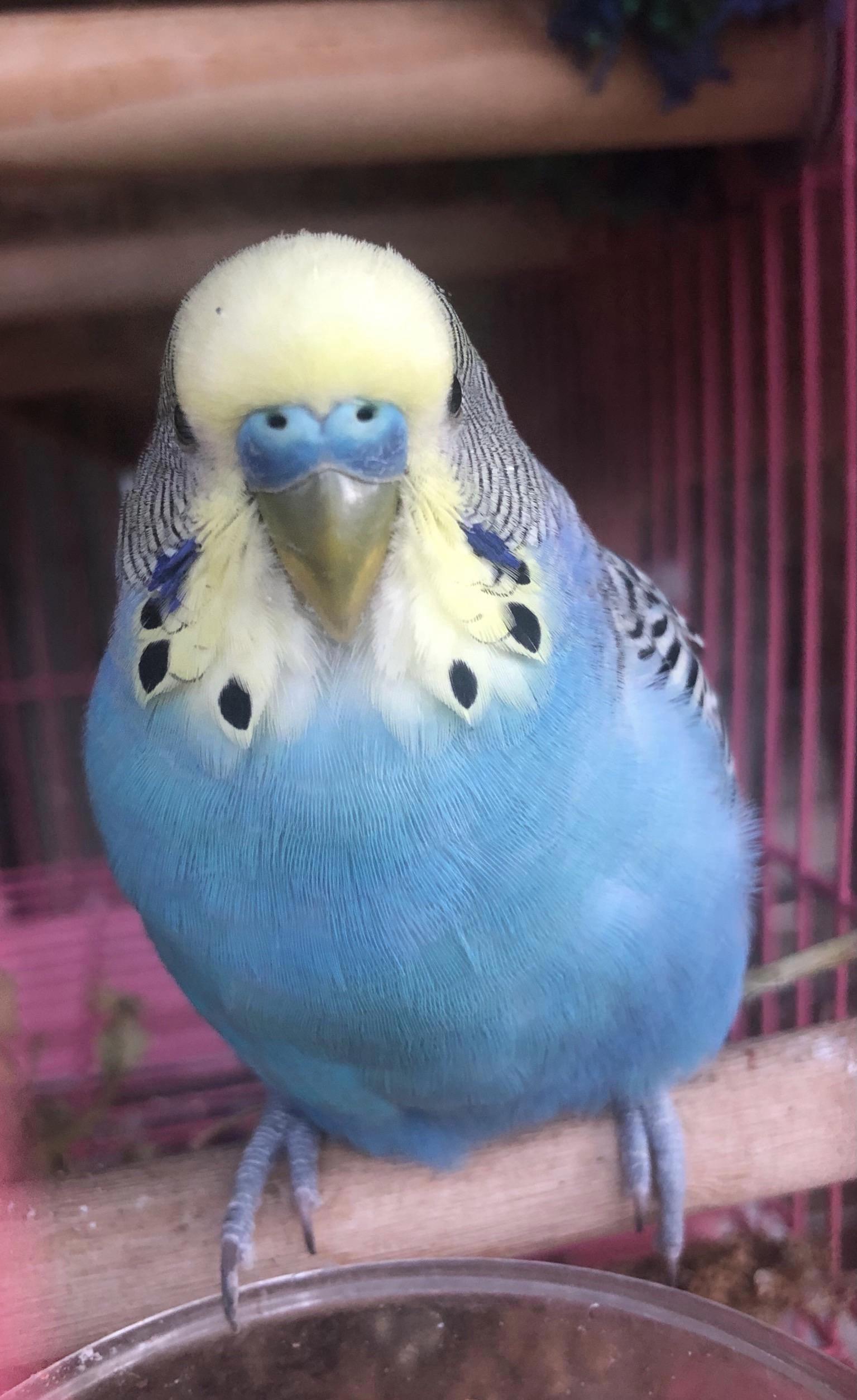 Here is my BORB | Scrolller