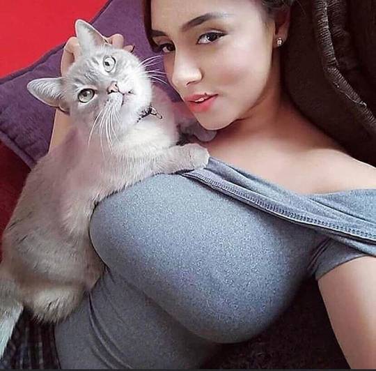 Here Kitty Kitty | Scrolller