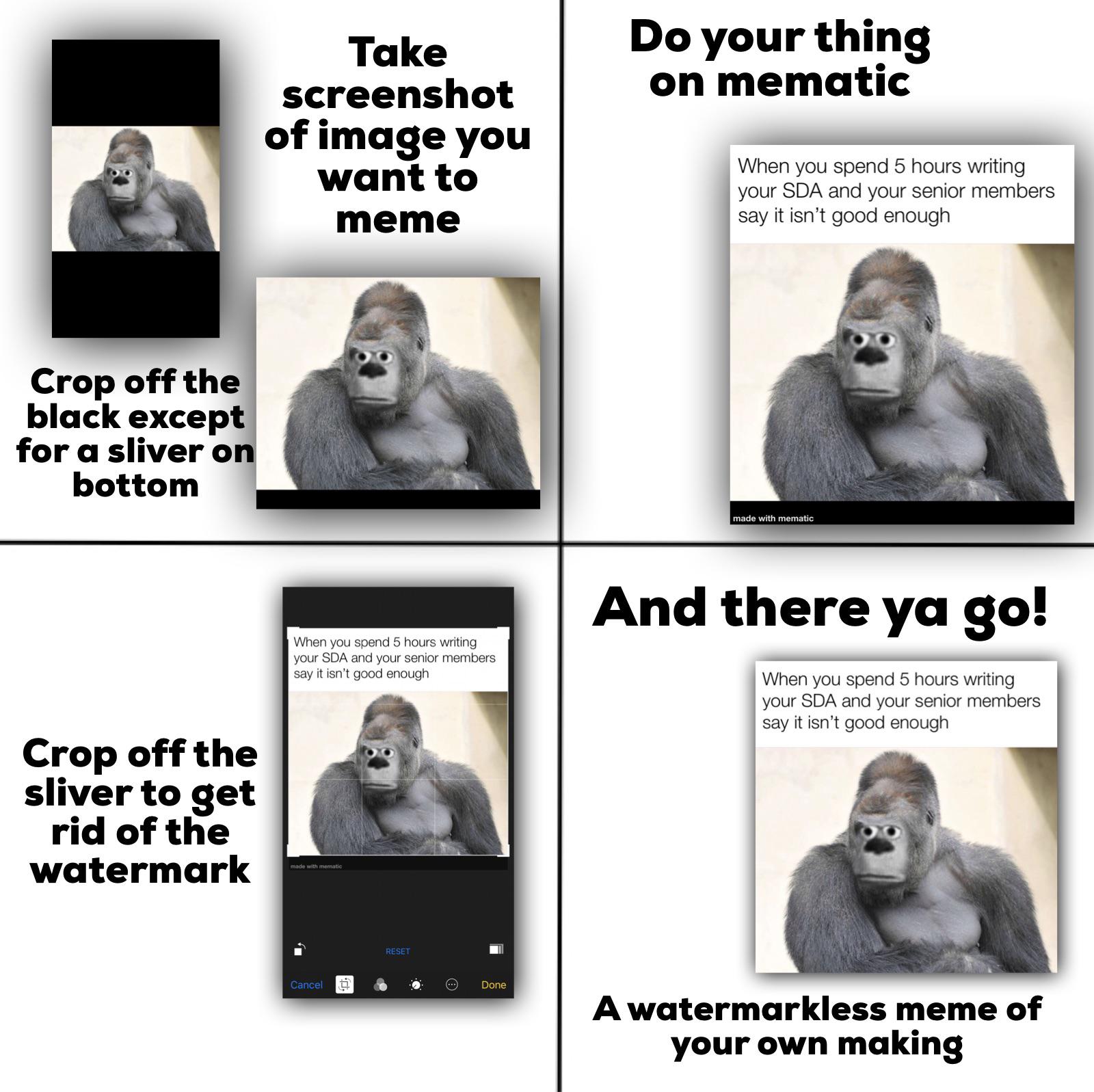 Here’s a quick tip for any new CAP memers! | Scrolller
