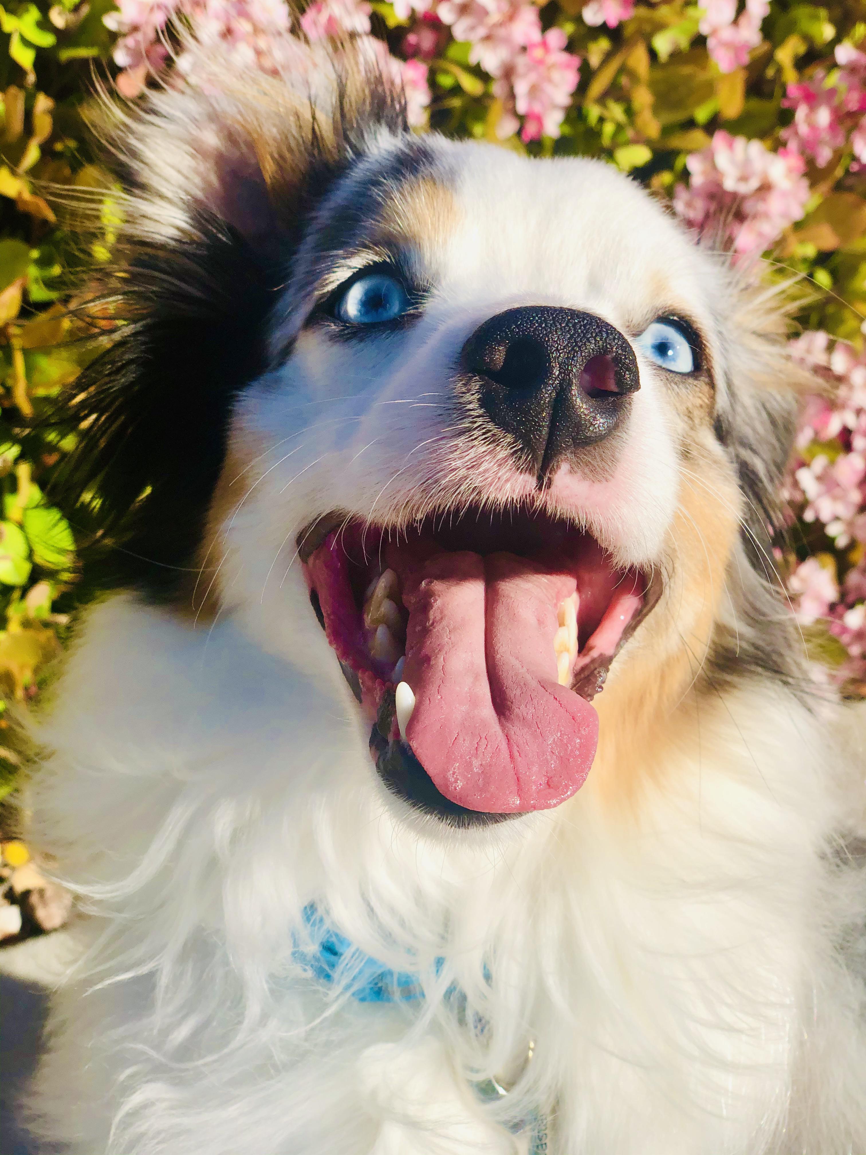 Here’s my wiggle butt | Scrolller