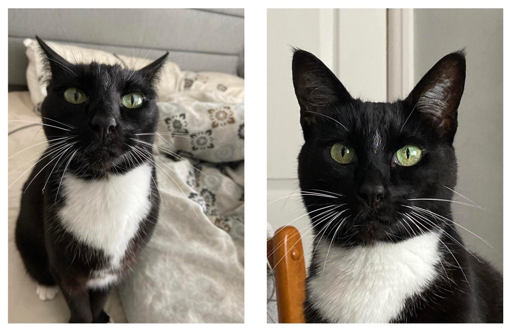 Heres Suki Demonstrating The Importance Of Knowing Your Angles Scrolller