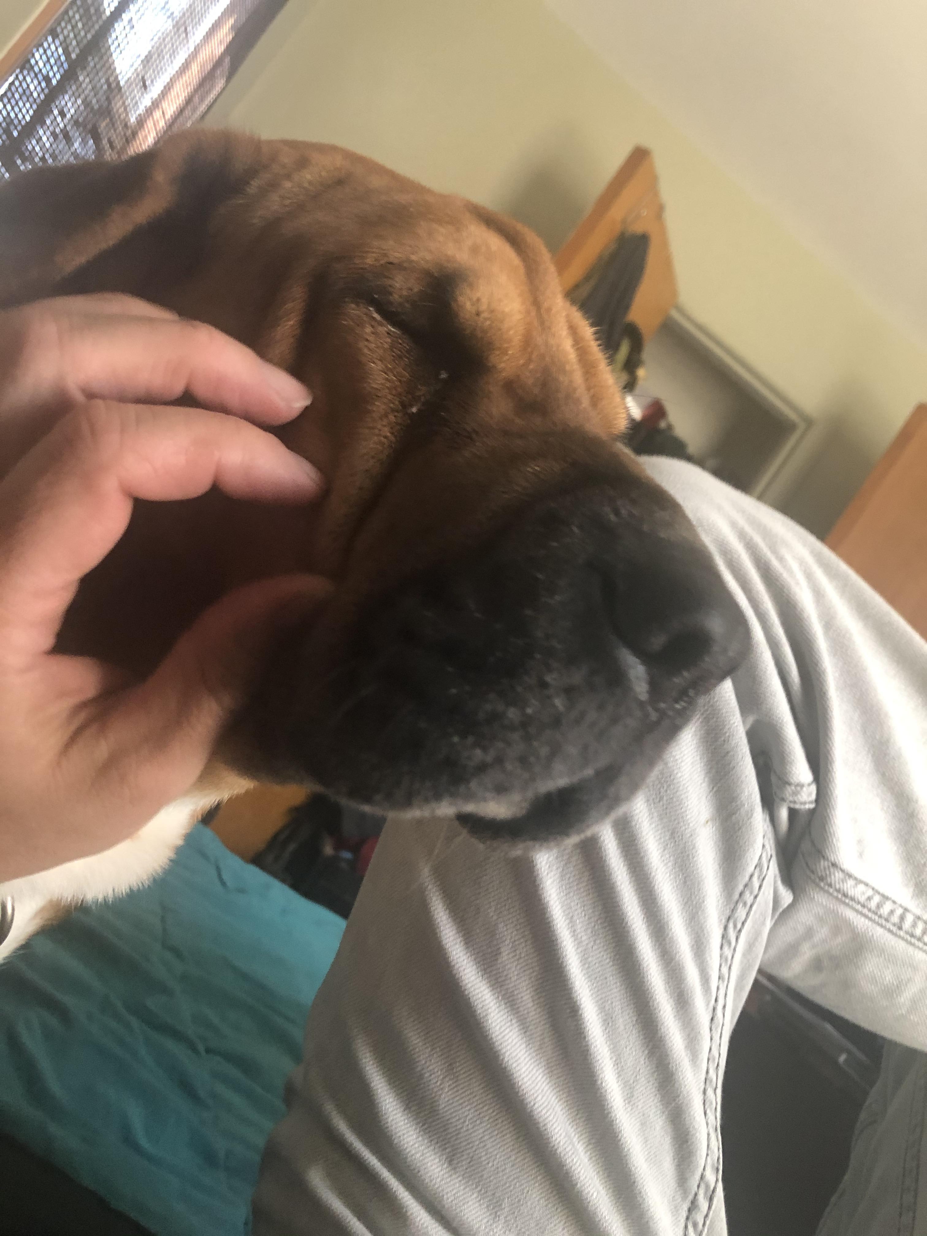 Here Squishy Squishy | Scrolller