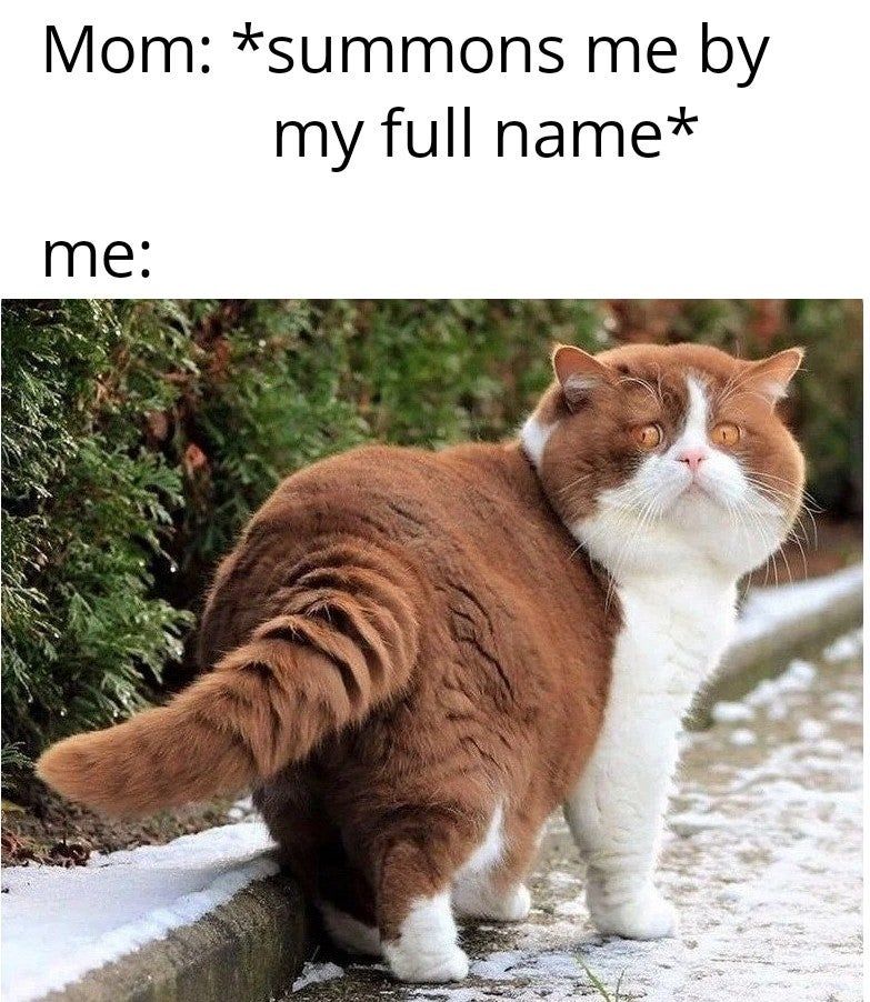 Here we go again.... | Scrolller