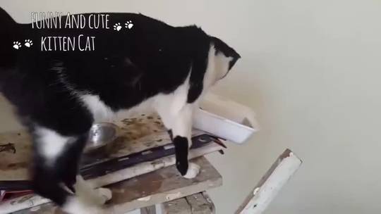 Here ya go boys, don't say I never did anything for you. | Scrolller