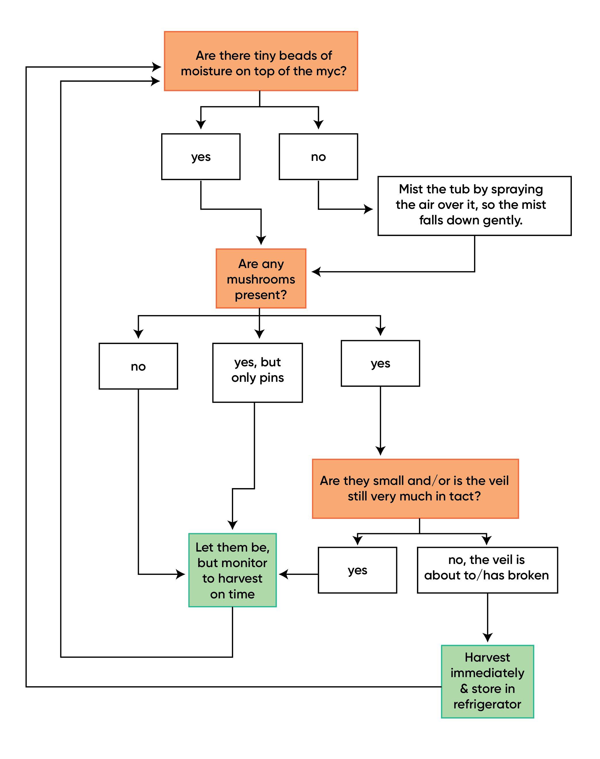 I made a flowchart for my pinsitter | Scrolller