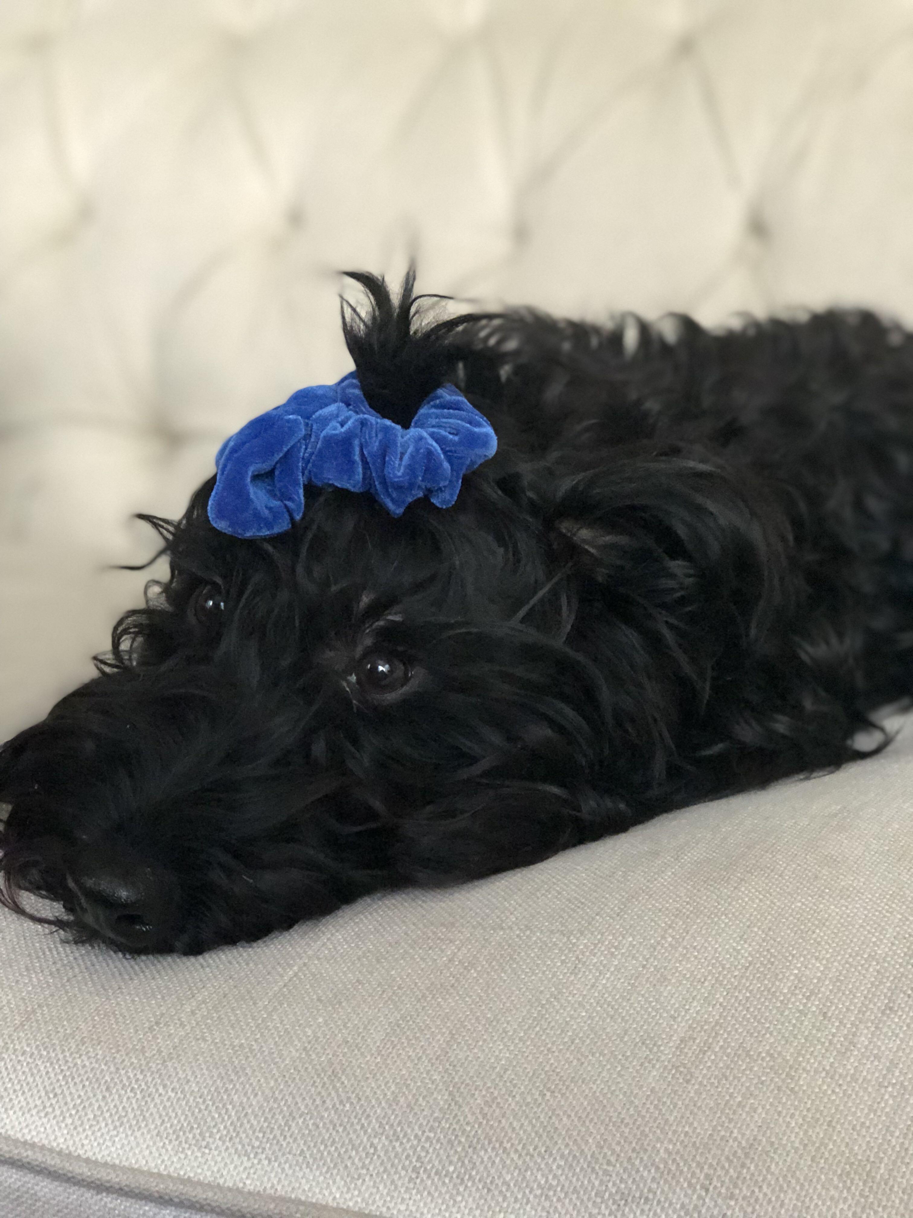 Heres my two year old baby girl | Scrolller