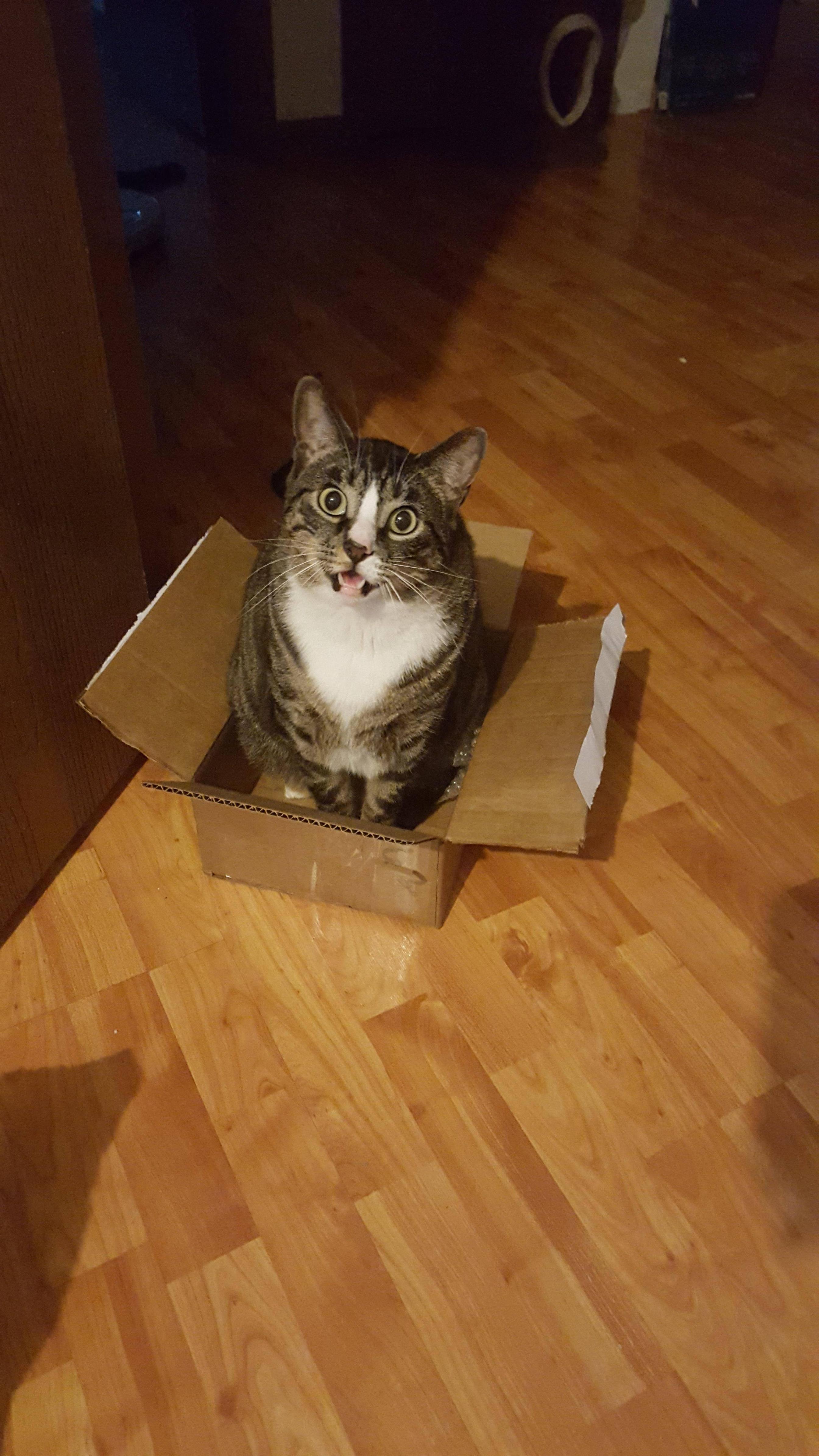 Here's Sake | Scrolller