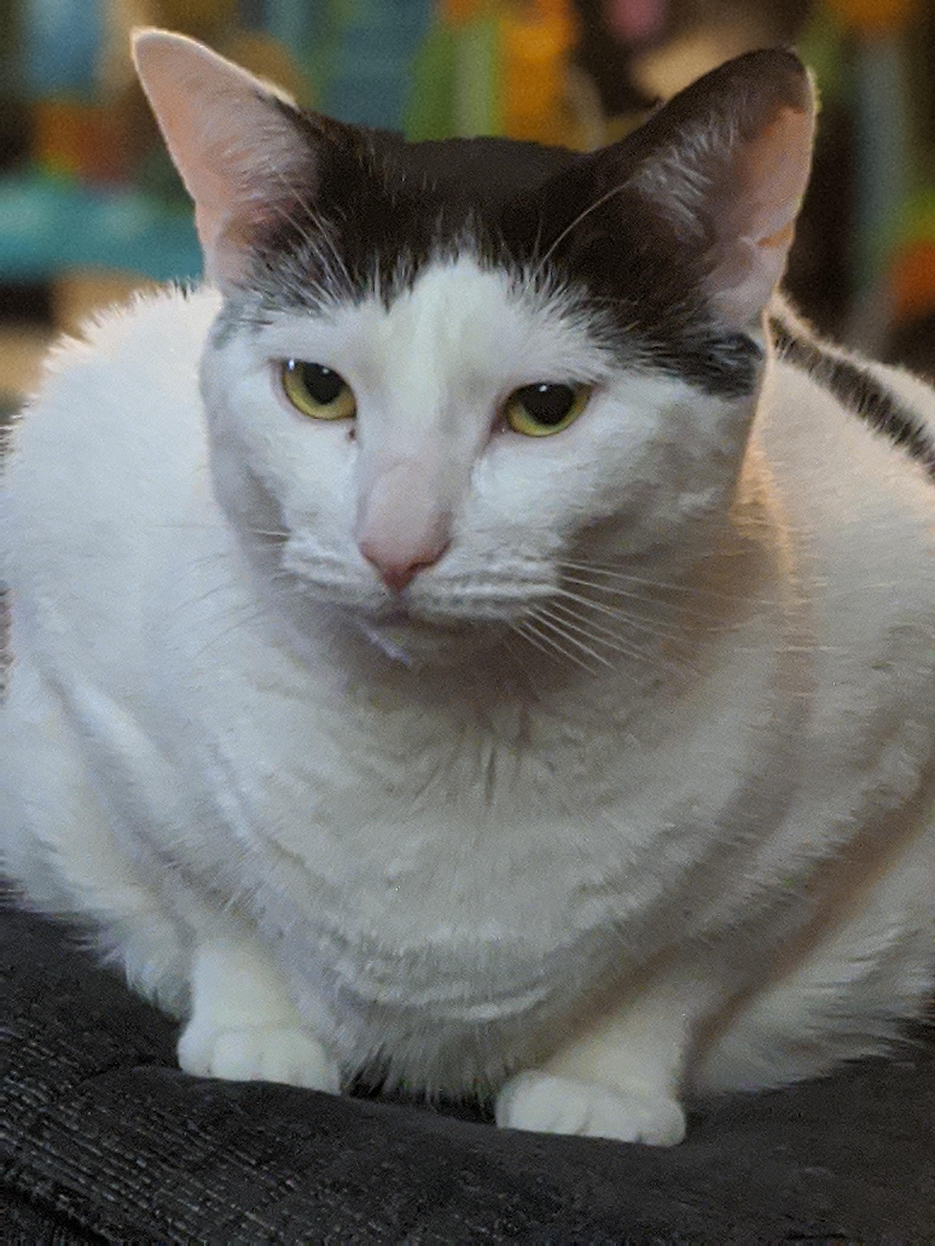 He's a chunk... | Scrolller