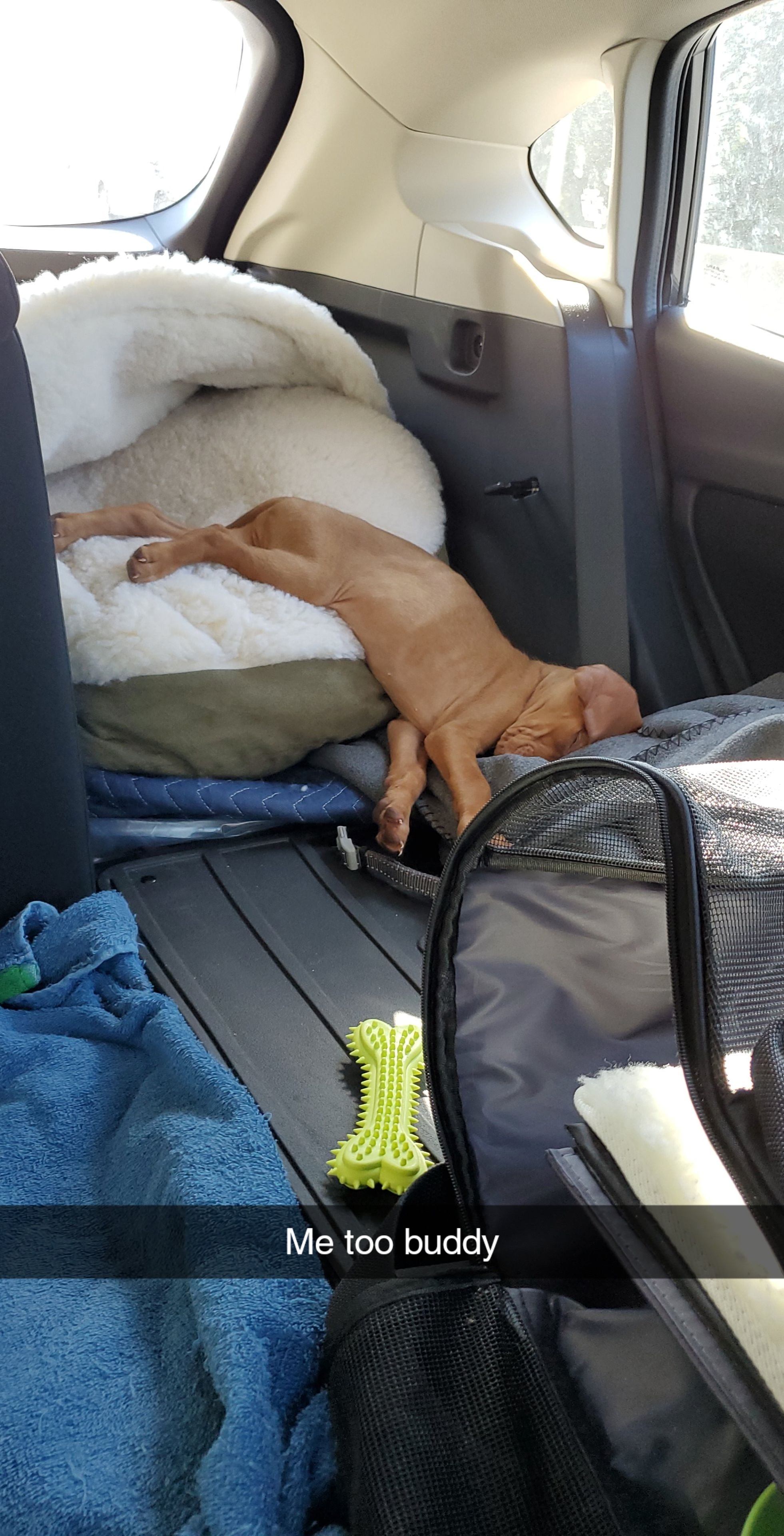 He's a uh, heavy sleeper | Scrolller