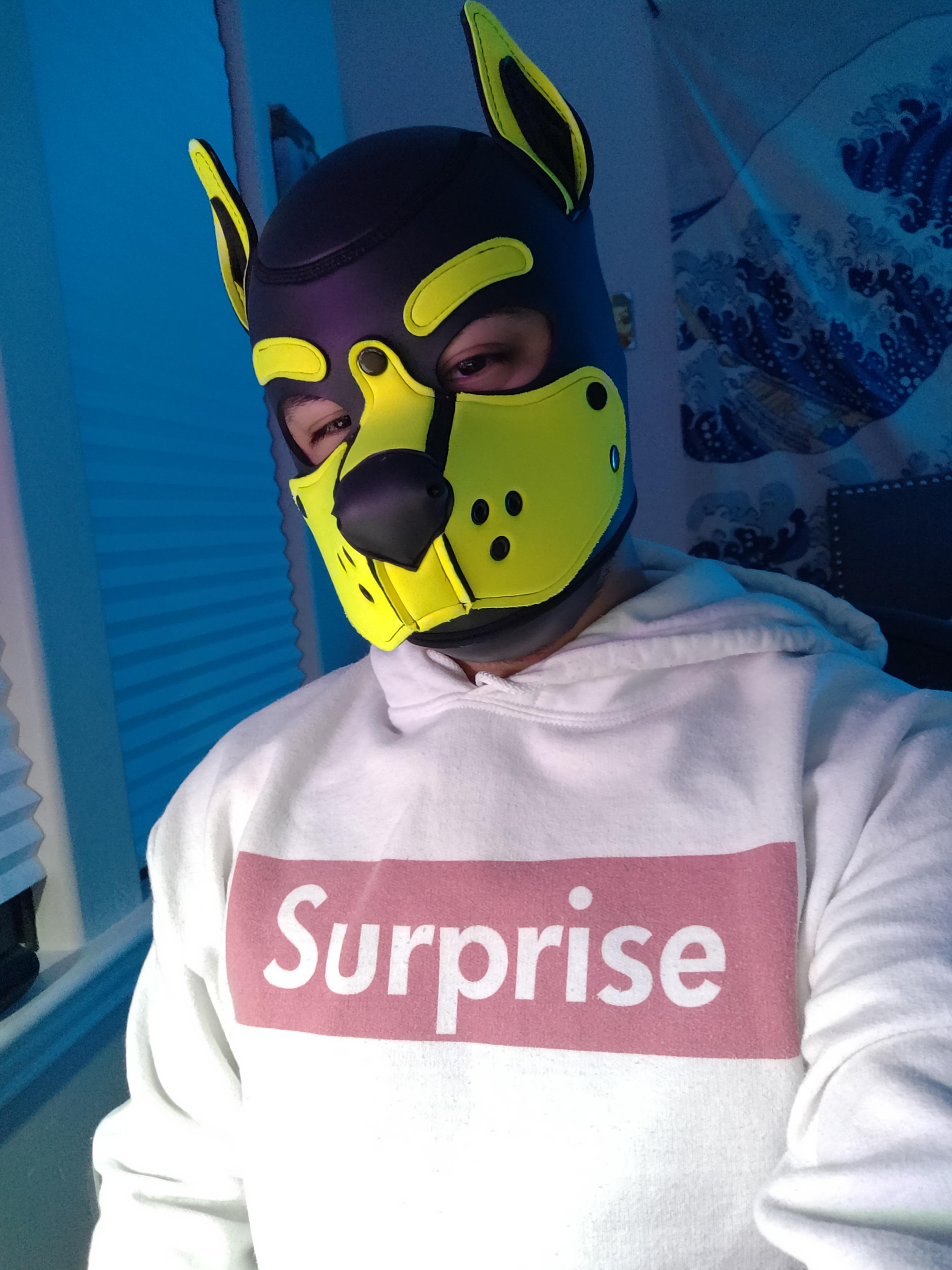 He's back with new gear 😜 | Scrolller