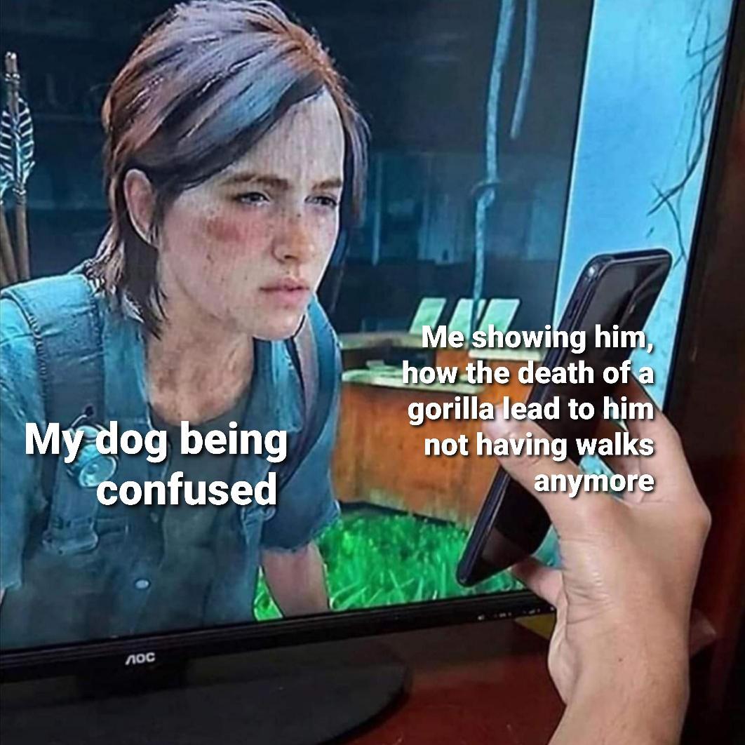 He's confused. | Scrolller