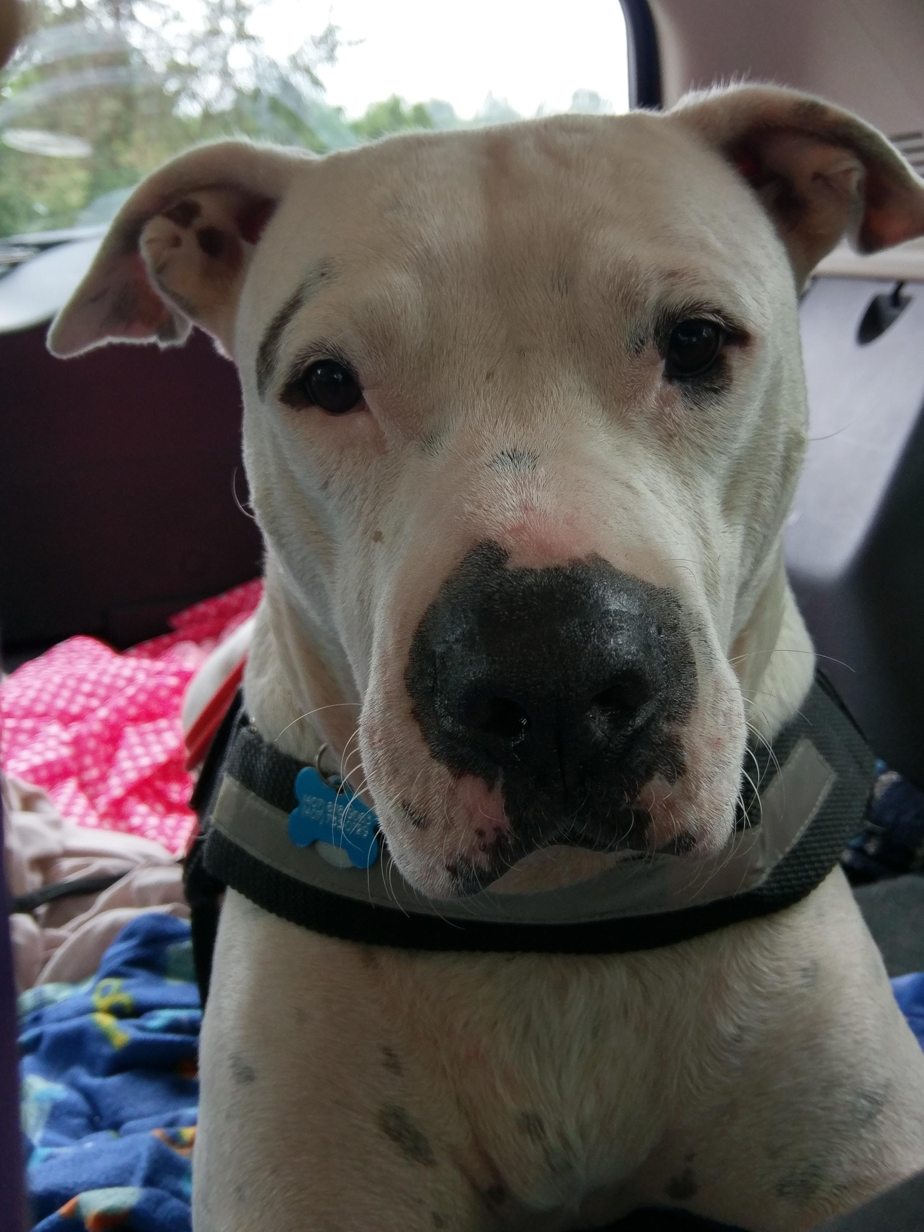 He's finally mine!!! | Scrolller