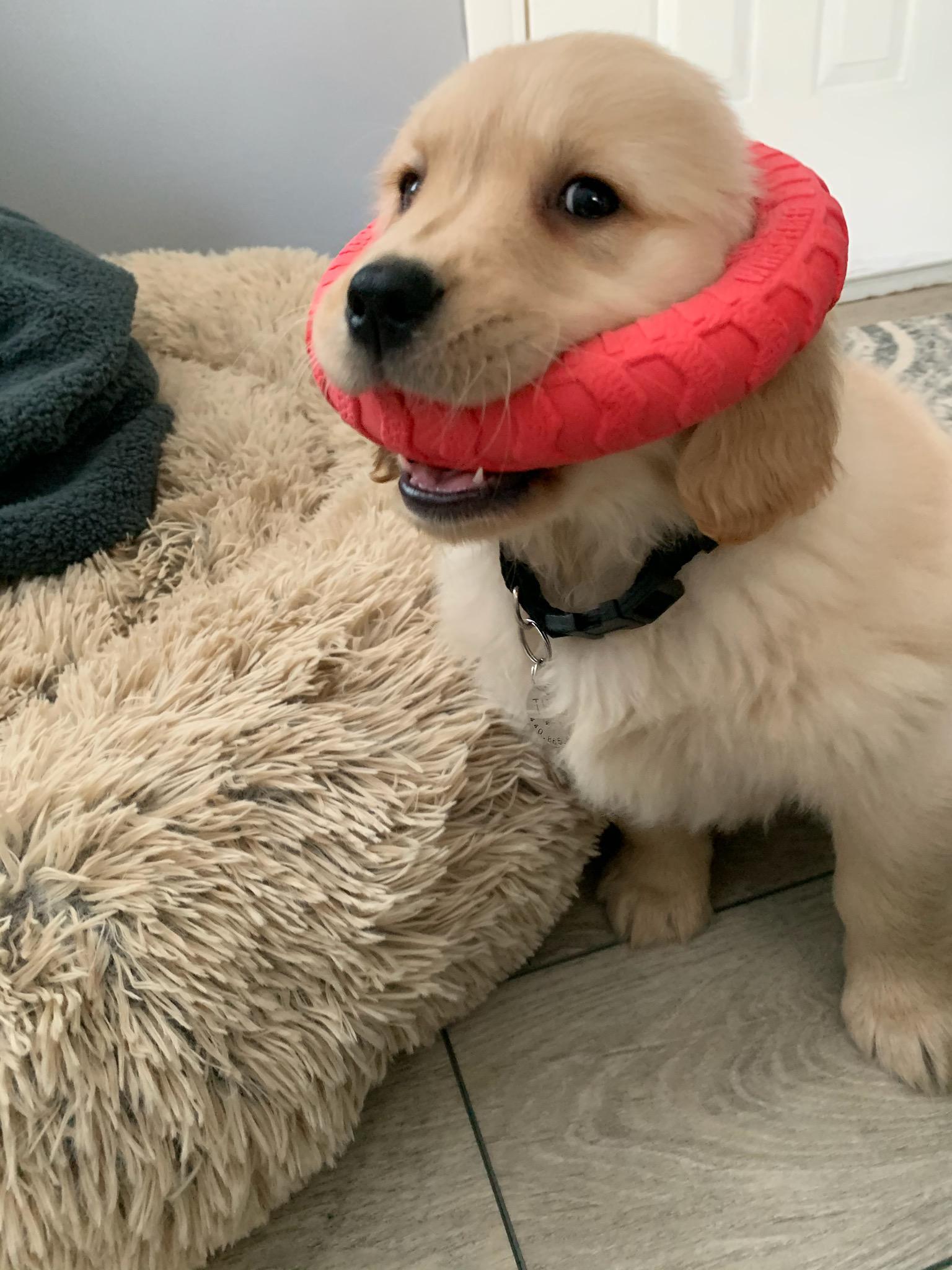 He's growing into his toys! | Scrolller