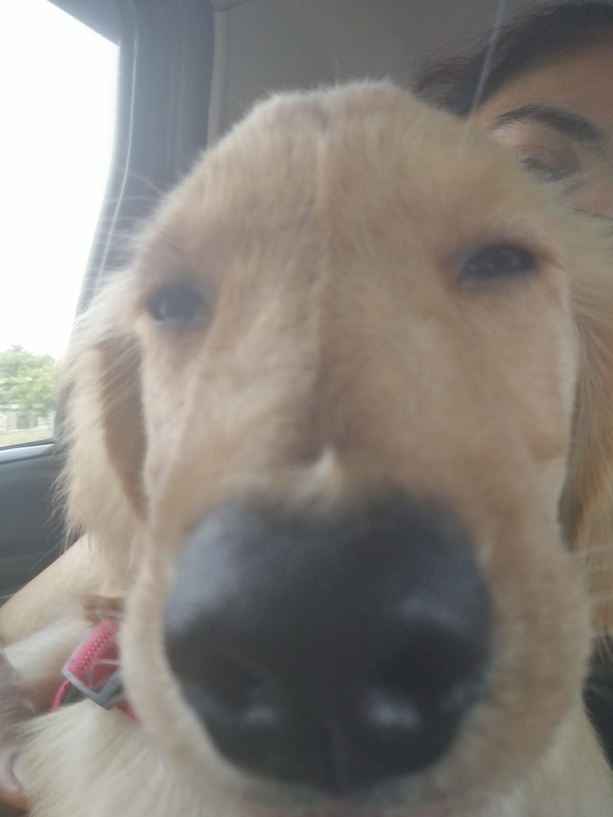 He's judging you 😑 | Scrolller