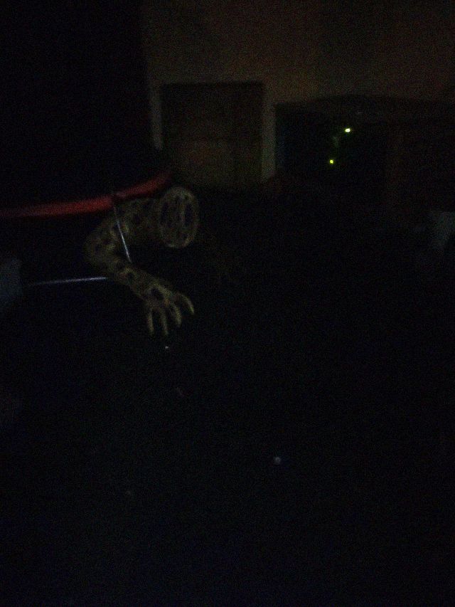 He's just scared | Scrolller