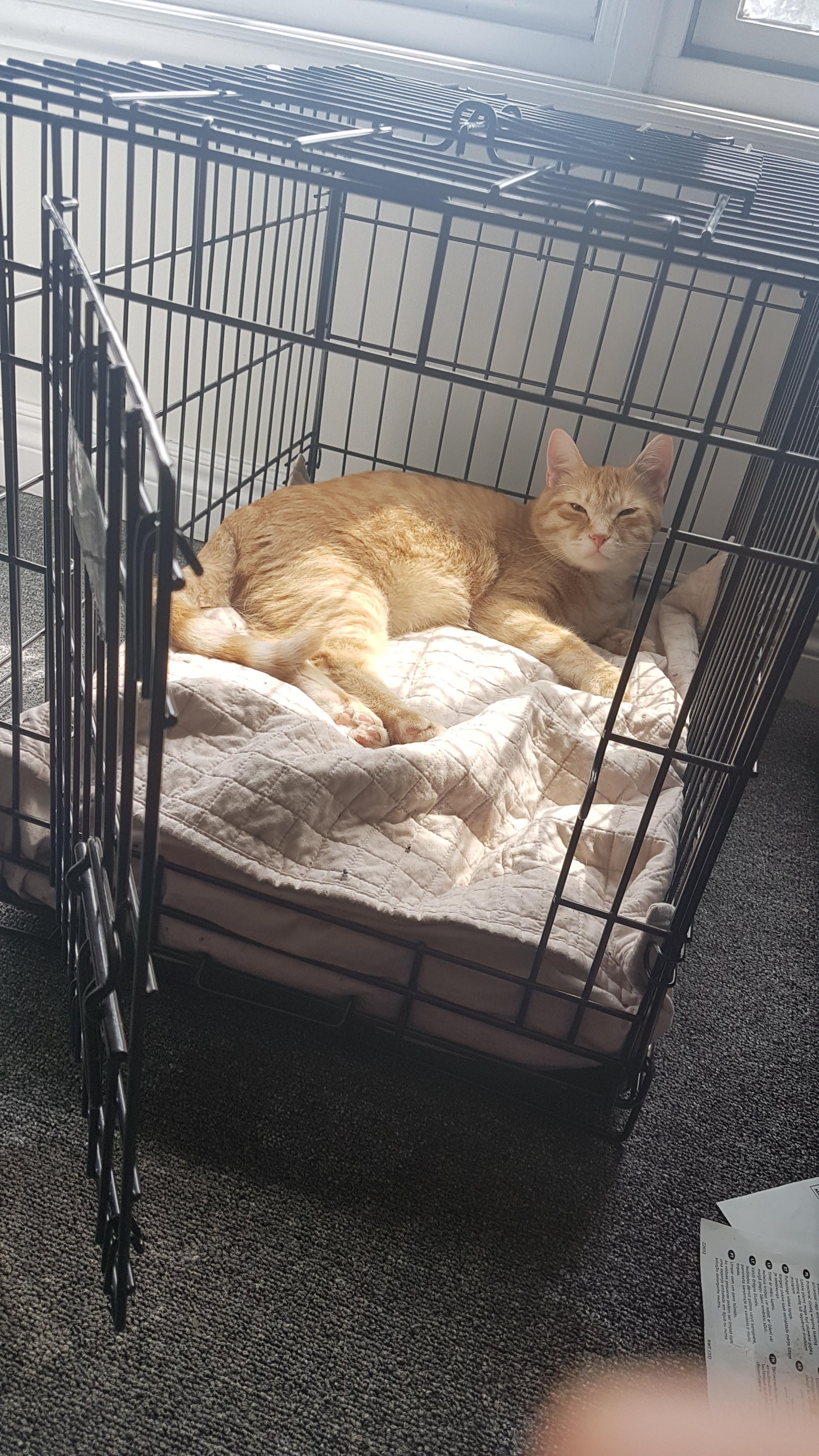 He's onto her crate now | Scrolller