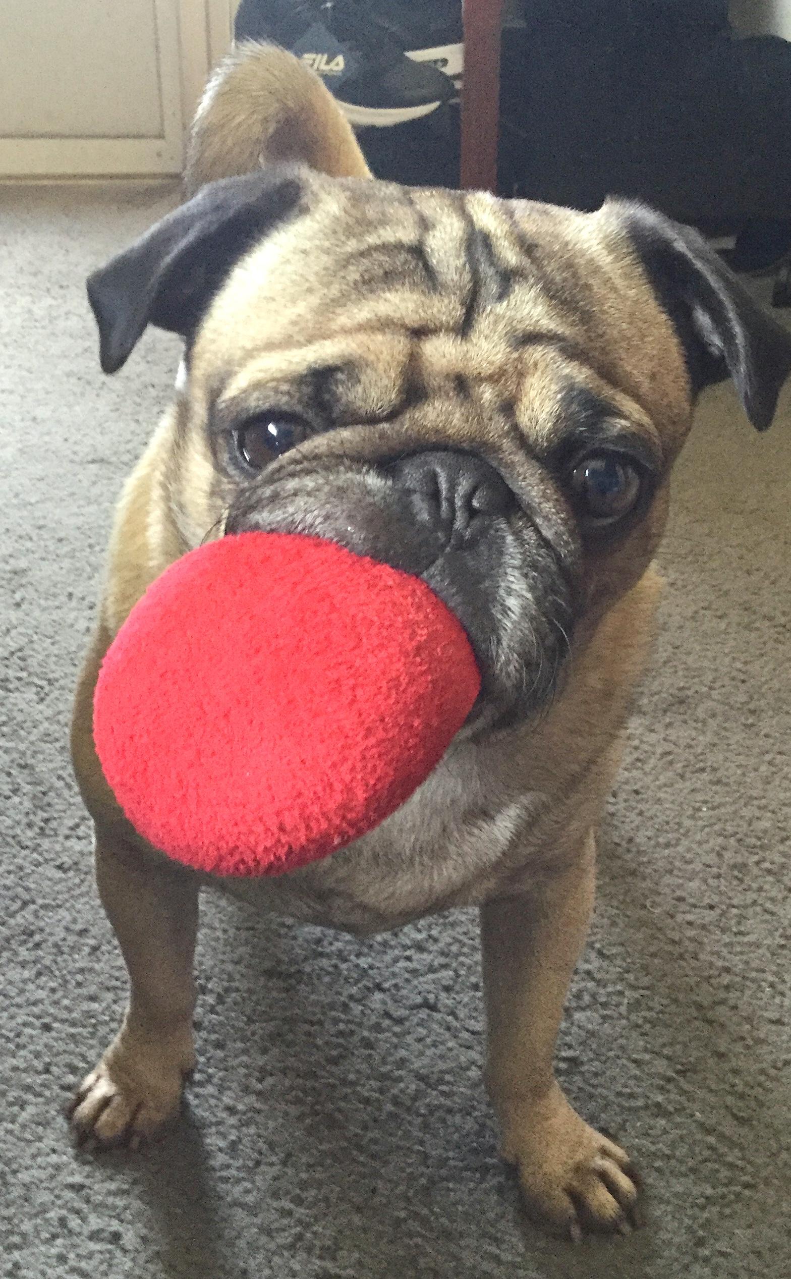 Hey Reddit, you wanna play ball? | Scrolller