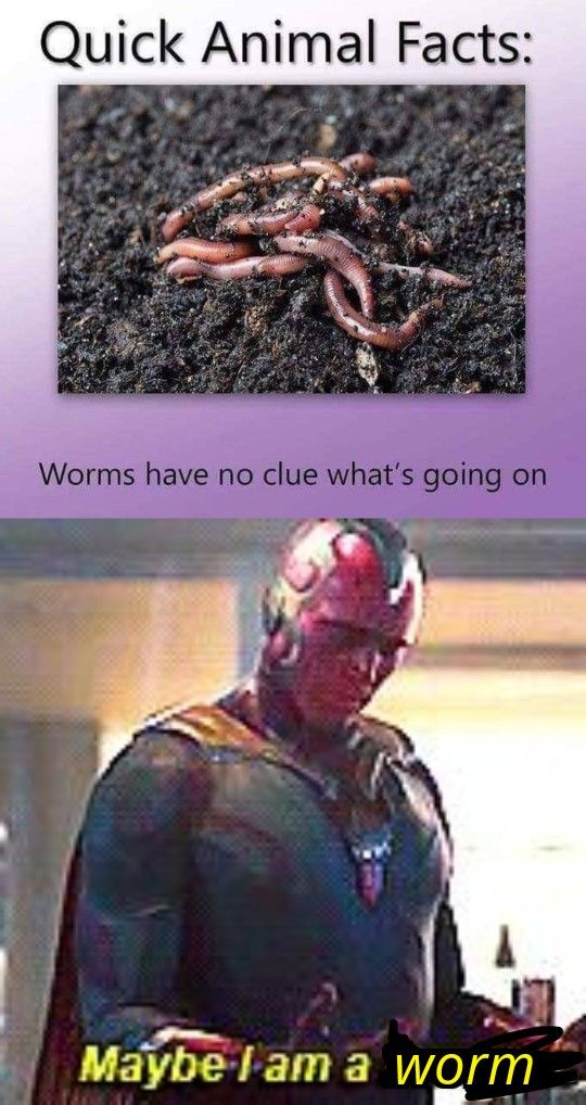 Hhmm yes worm | Scrolller