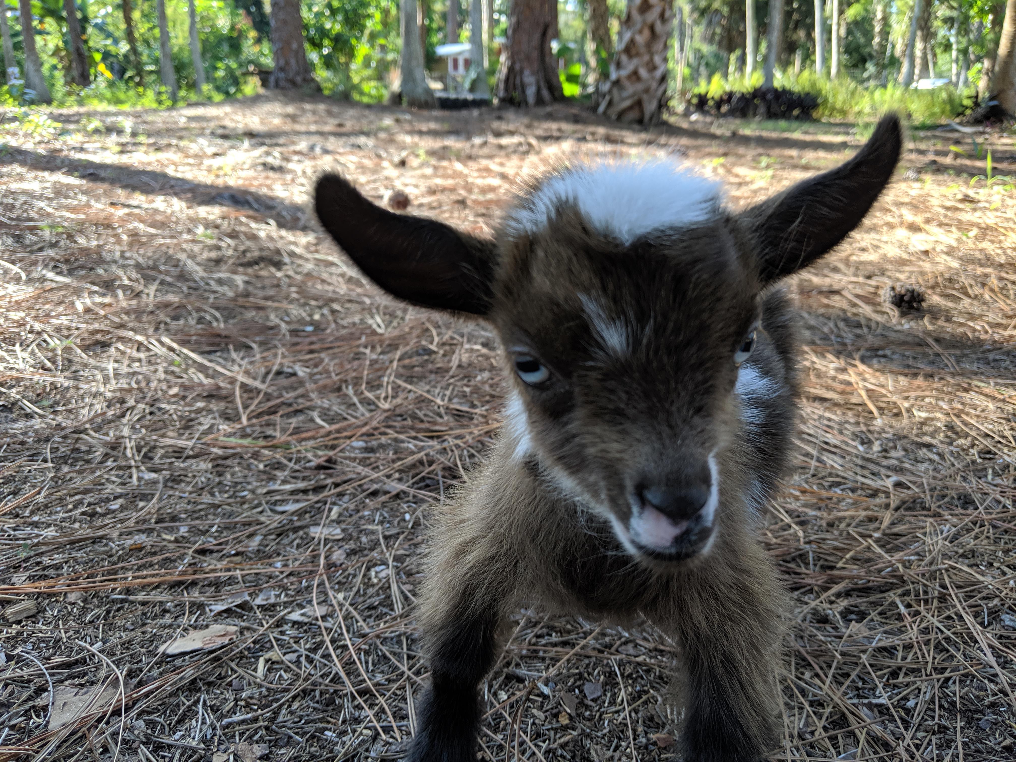 Hi everyone. My name is Winnie. | Scrolller