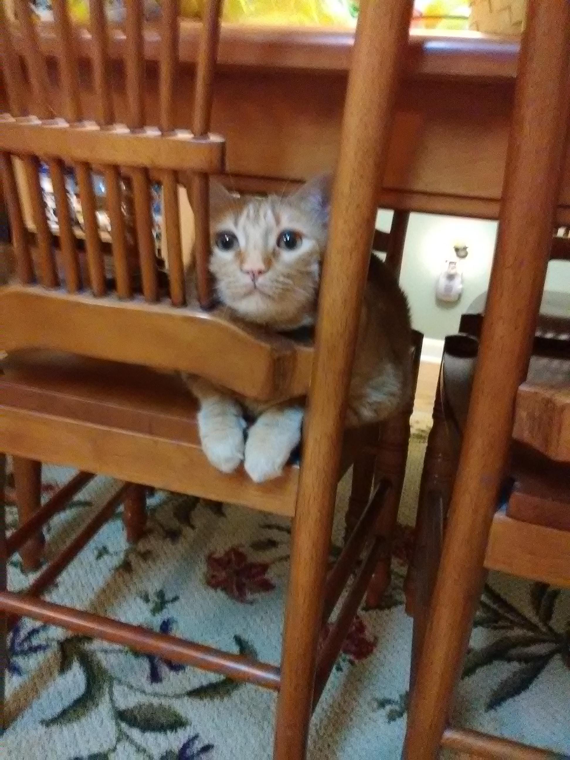 Hi how are ya | Scrolller