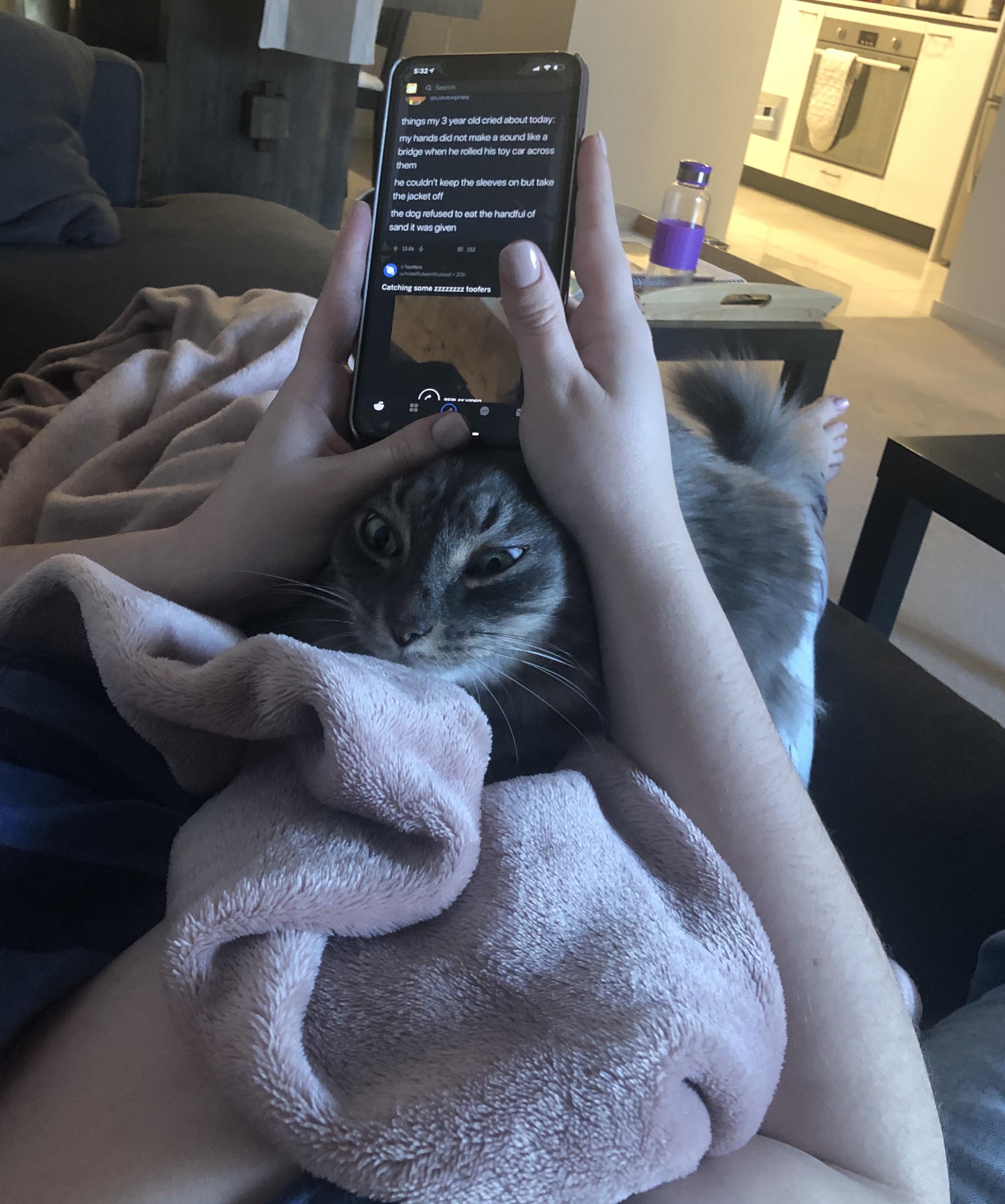 Hi Human! Let me just squeeze in here. | Scrolller