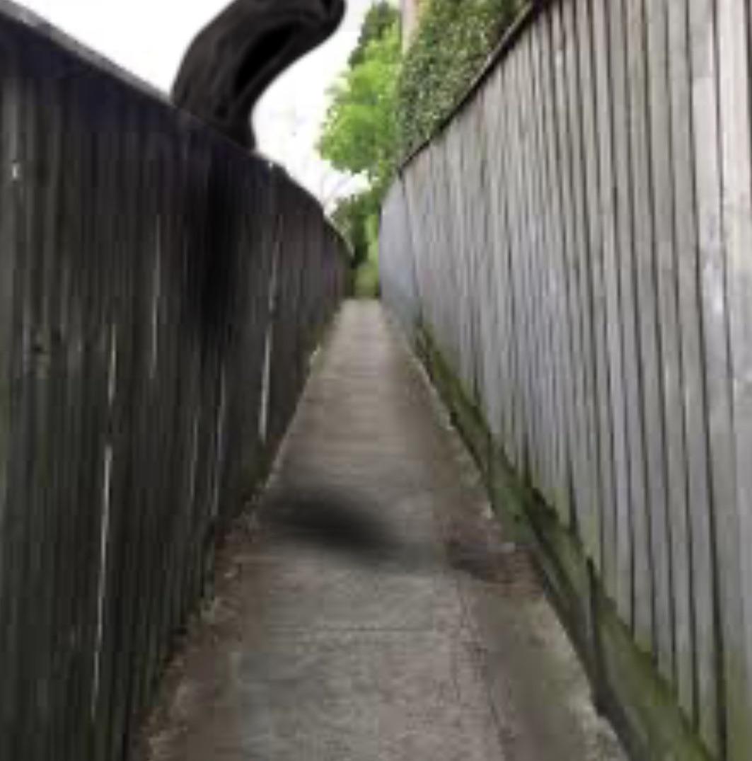 Hi neighbor | Scrolller