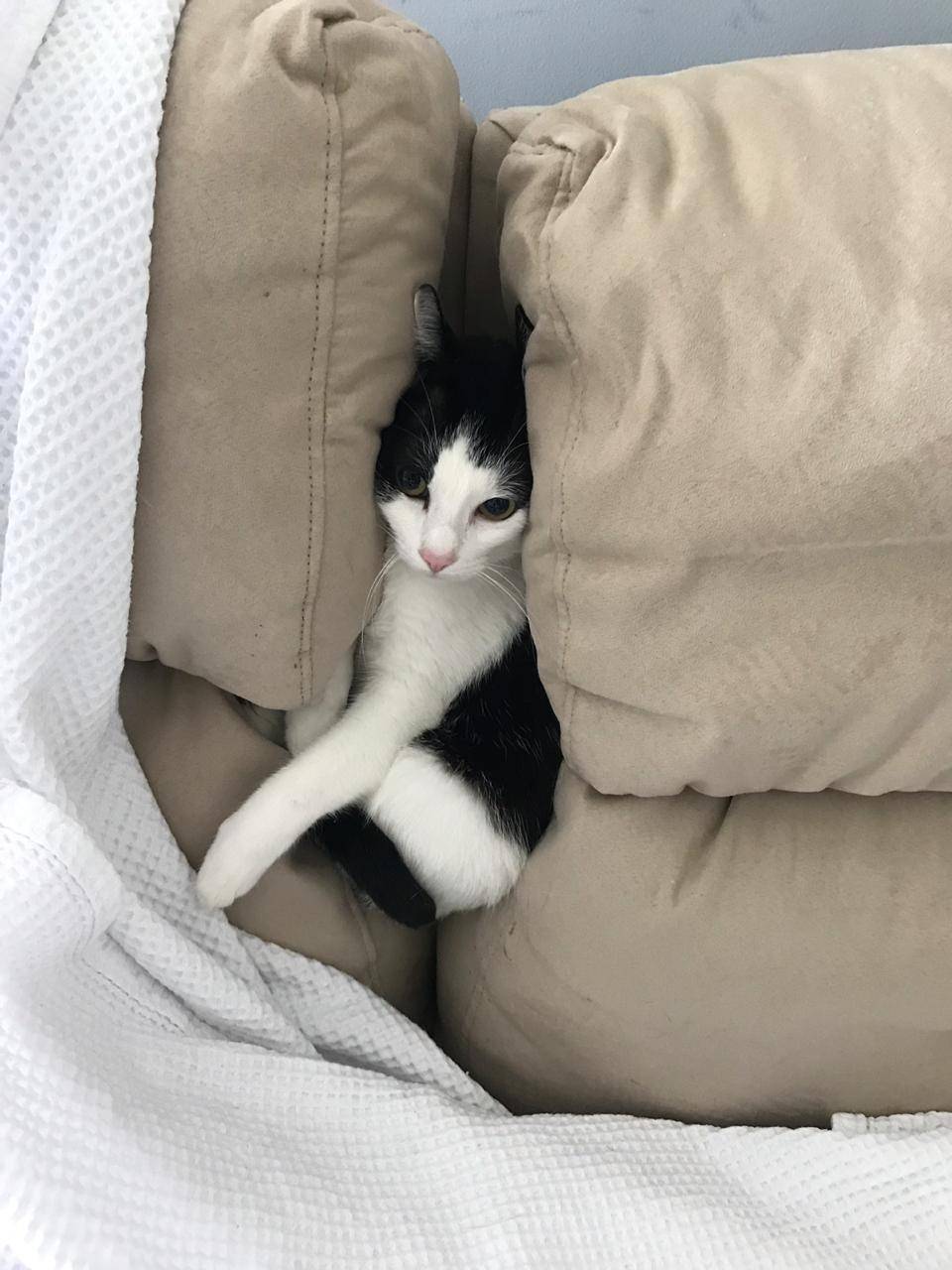 Hidden, covered and scared. | Scrolller