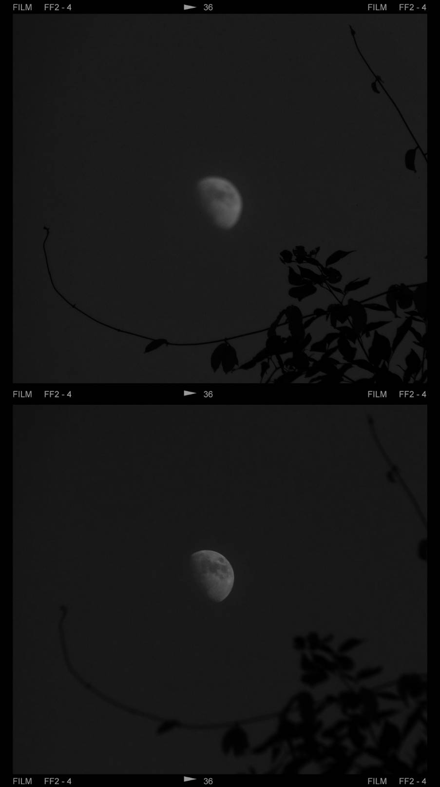 Hide & Seek! | Scrolller