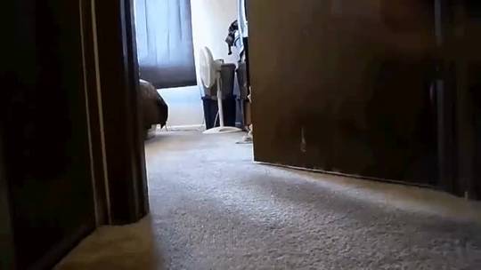 Hide N Seek [OC] | Scrolller