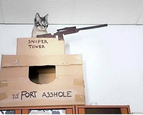 High atop Mt. Ikea | Scrolller