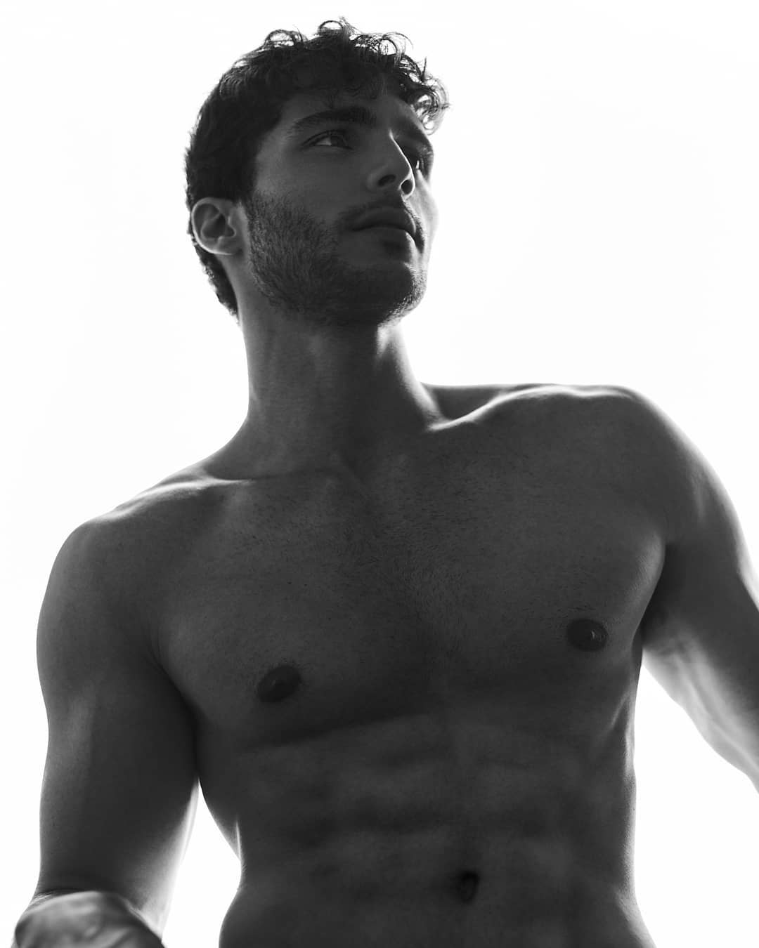 High contrast | Scrolller