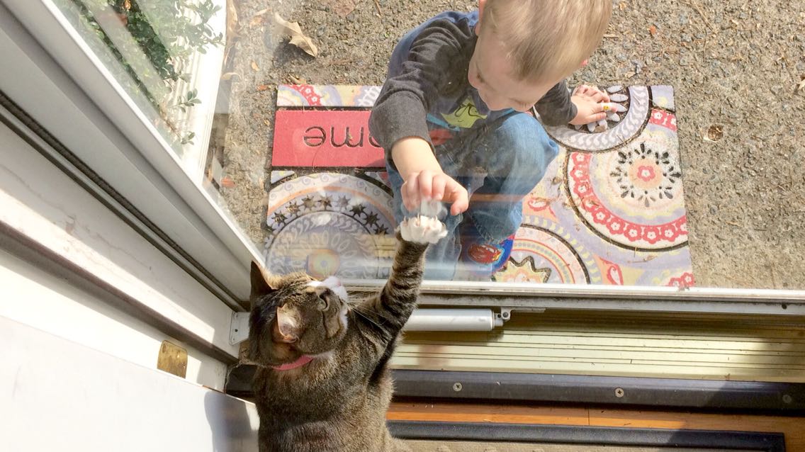 High Five Moment!! | Scrolller