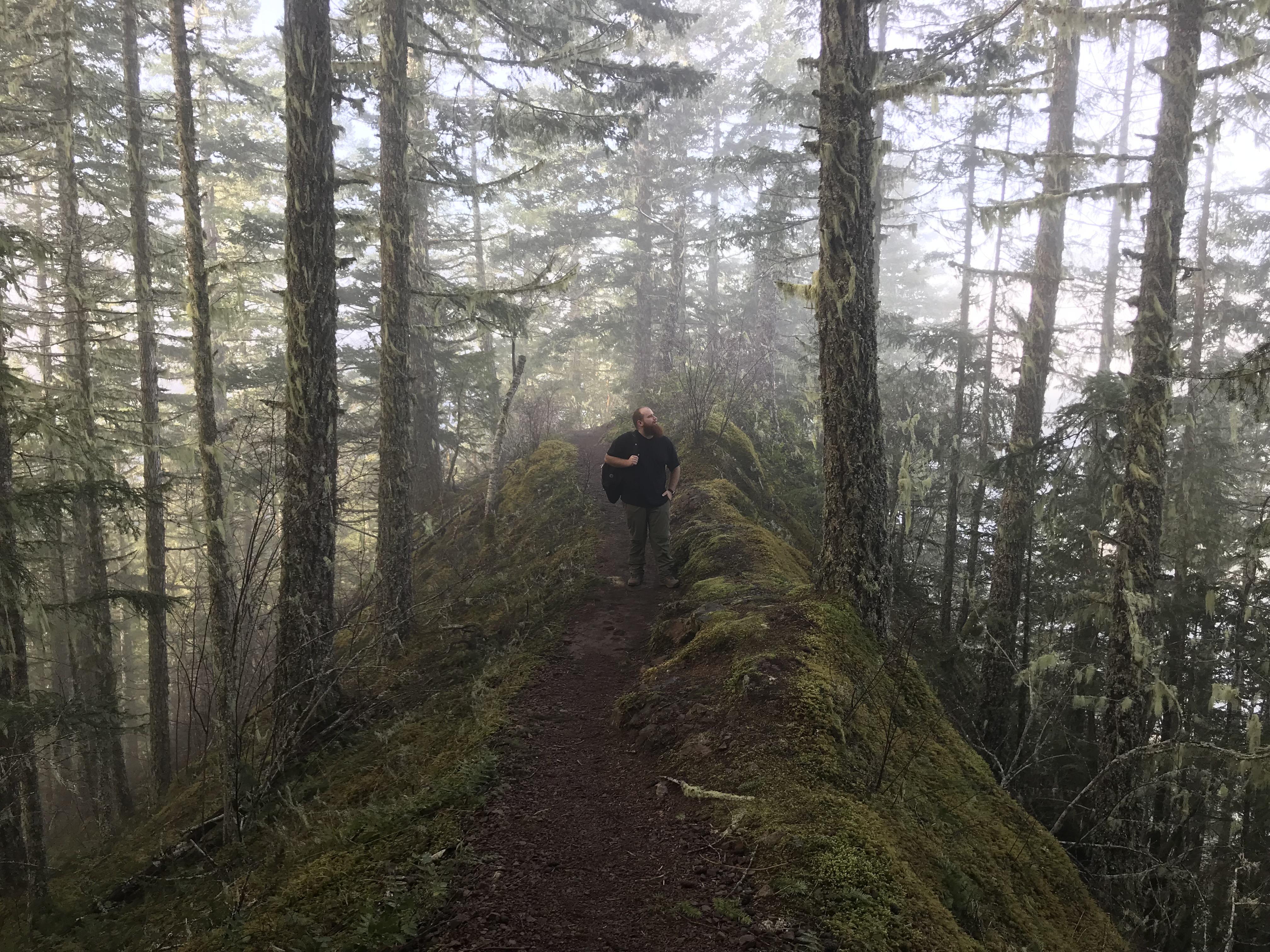 Hiking Mount Storm King in Olympic National Forest in Washington ...